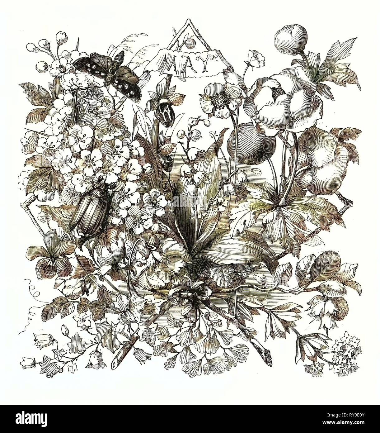 The month of may Cut Out Stock Images & Pictures - Alamy