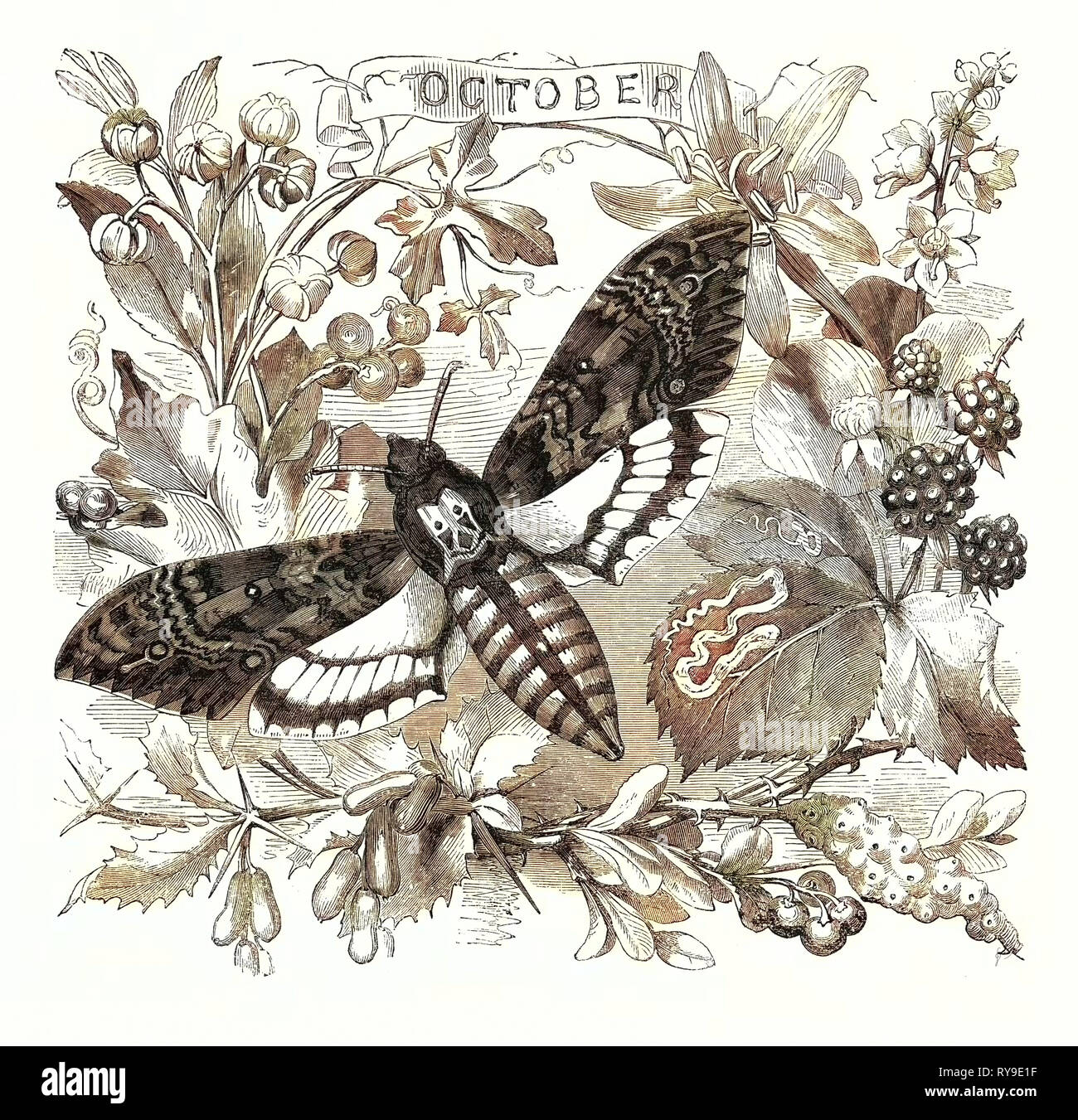 October calendar hi-res stock photography and images - Alamy