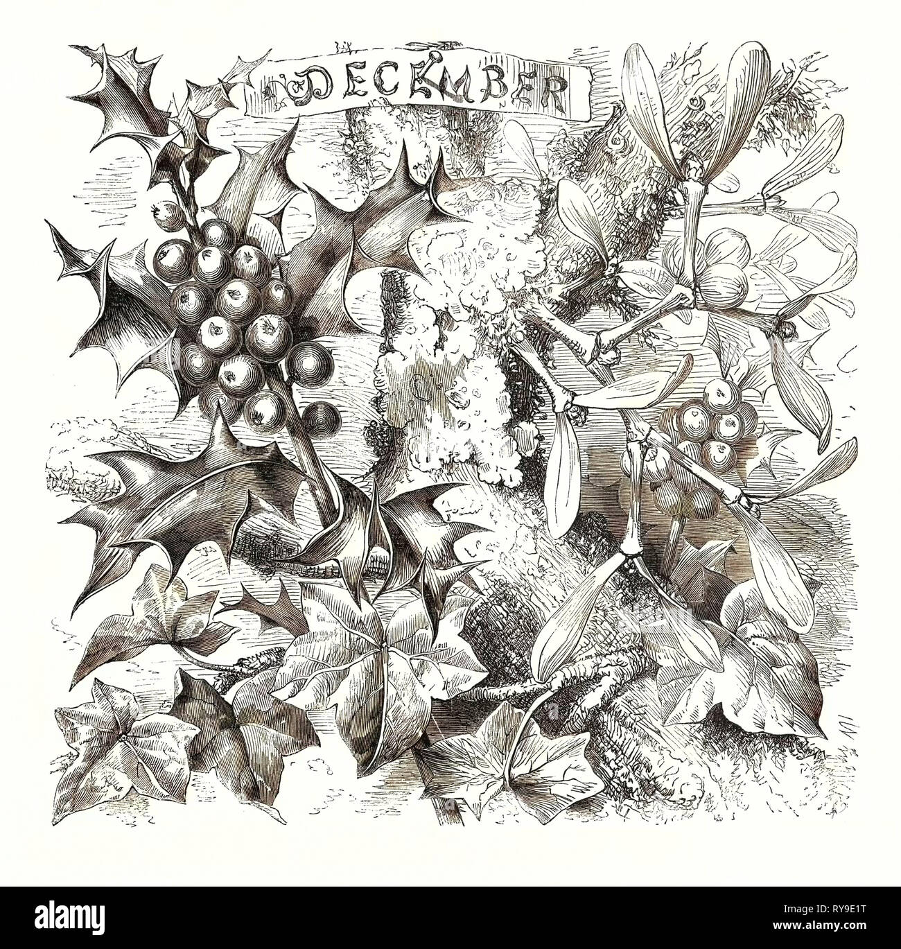 December calendar hi-res stock photography and images - Alamy