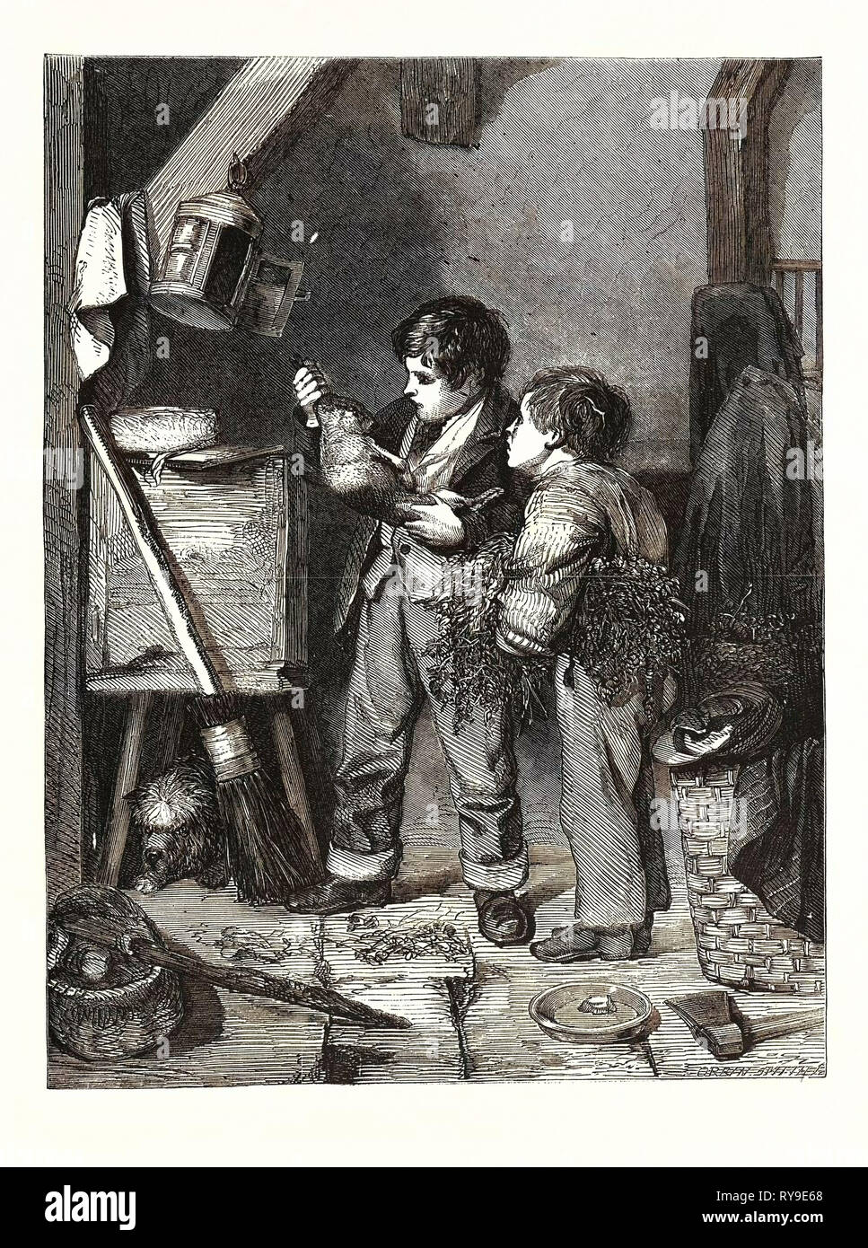 The Dead Rabbit Stock Photo - Alamy