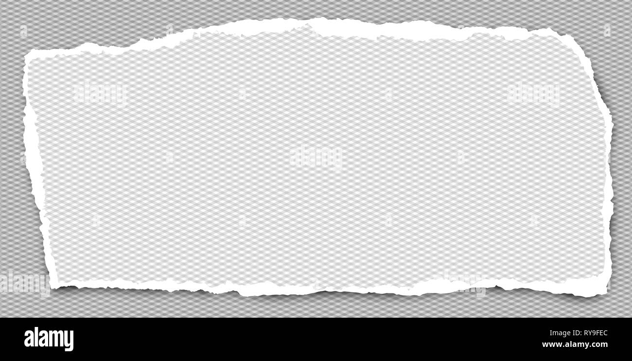 White squared ripped notebook paper, torn note paper strips stuck on ...