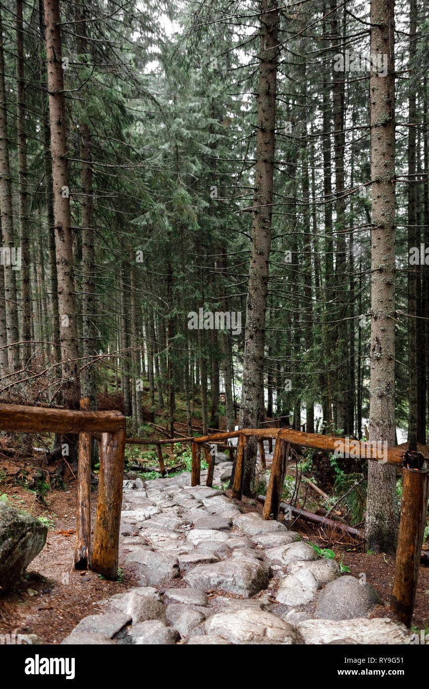 stone path in a forest in the mountains. Morske Oko, Europe Stock Photo ...