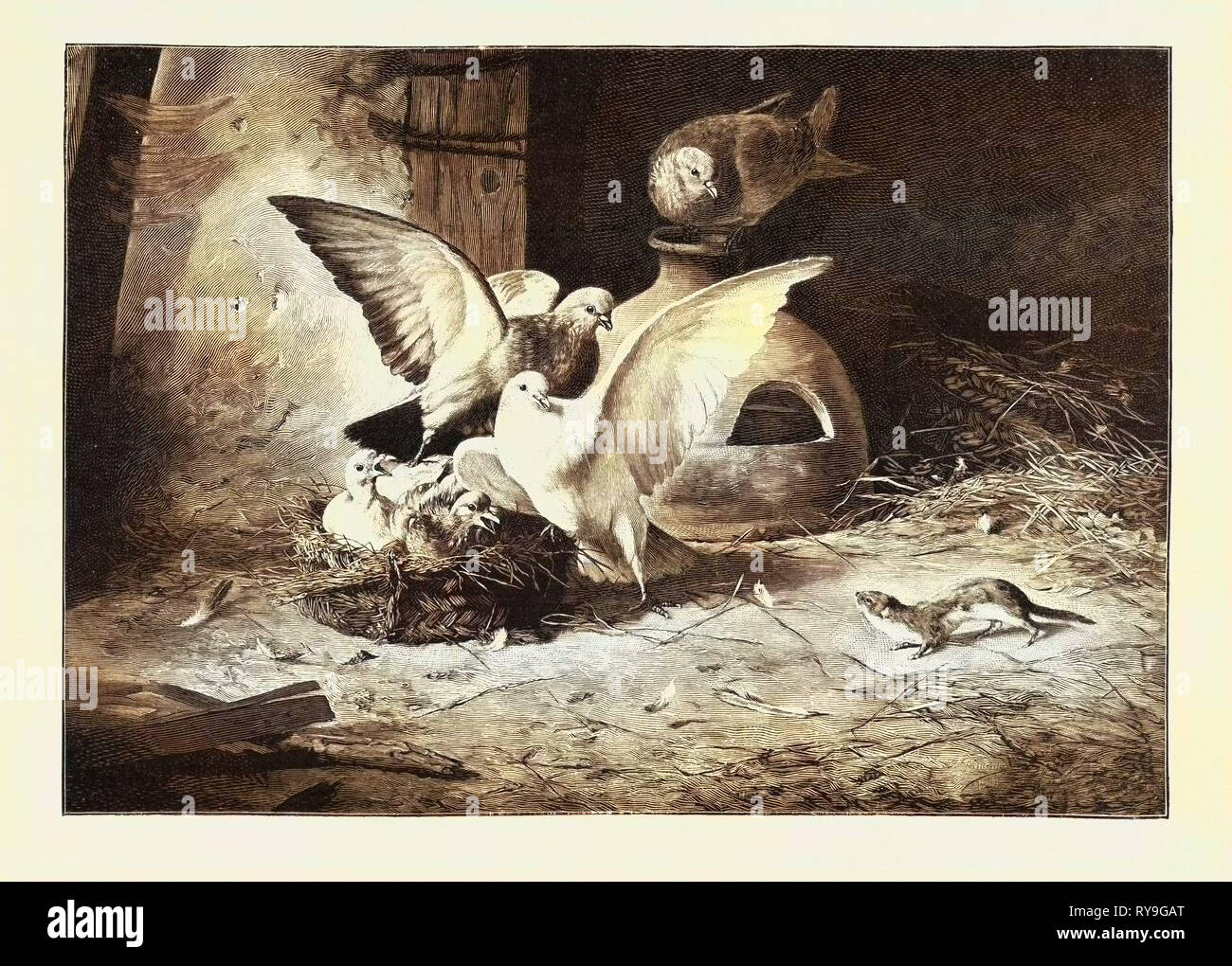 An Unwelcome Visitor, 1893 Engraving Stock Photo - Alamy