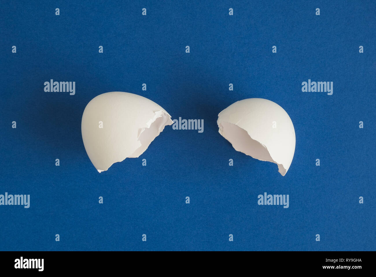 Flat lay of egg shell against dark blue background minimal creative ...