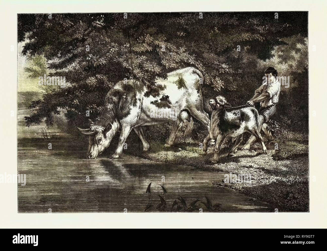 The Watering Place Stock Photo - Alamy