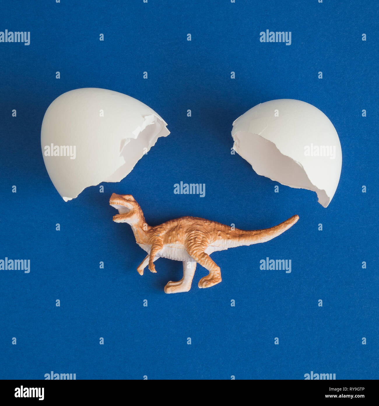 Tyrannosaurs close up hi-res stock photography and images - Alamy