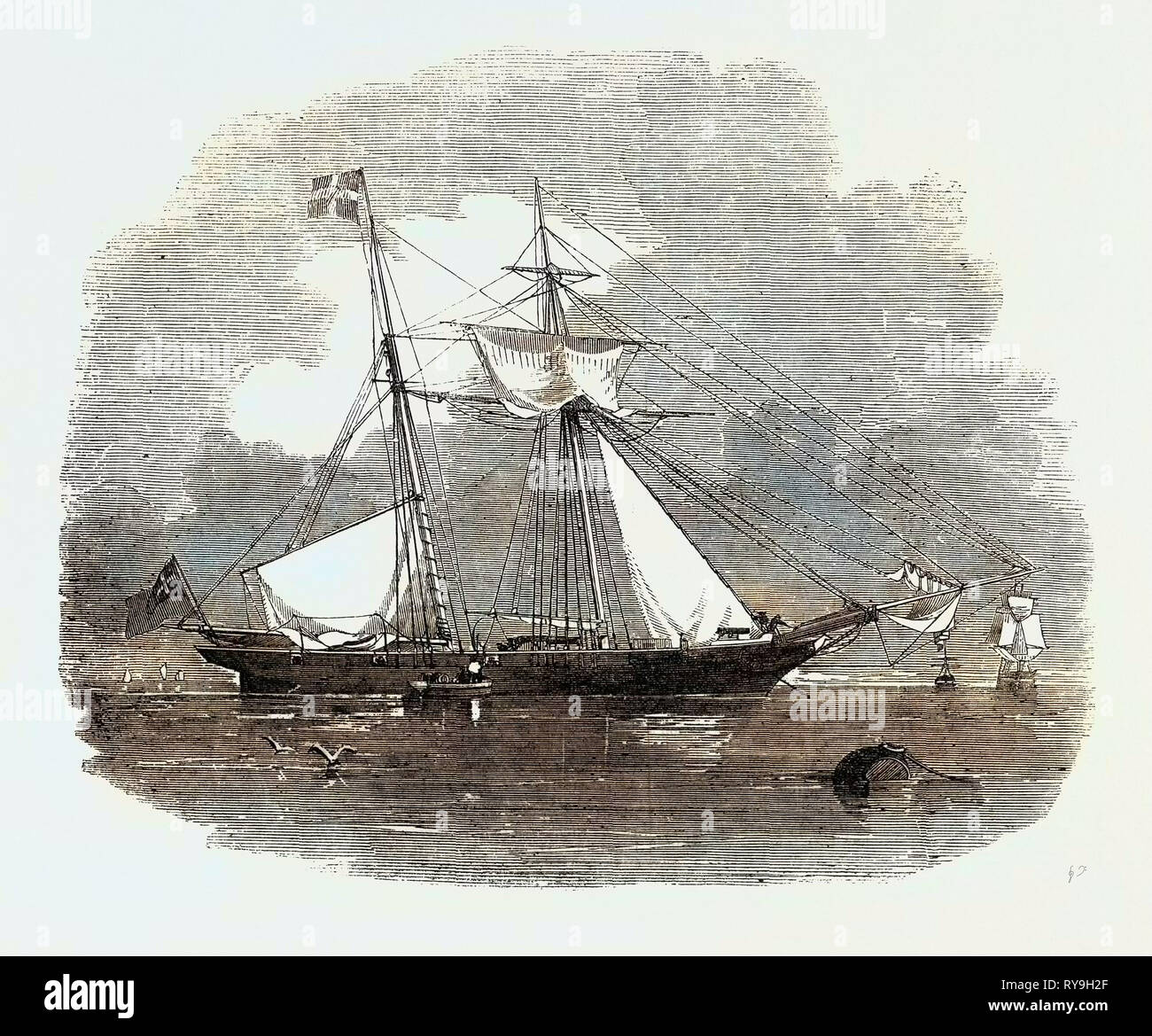 The New Opium Clipper 'Wild Dayrell Stock Photo - Alamy