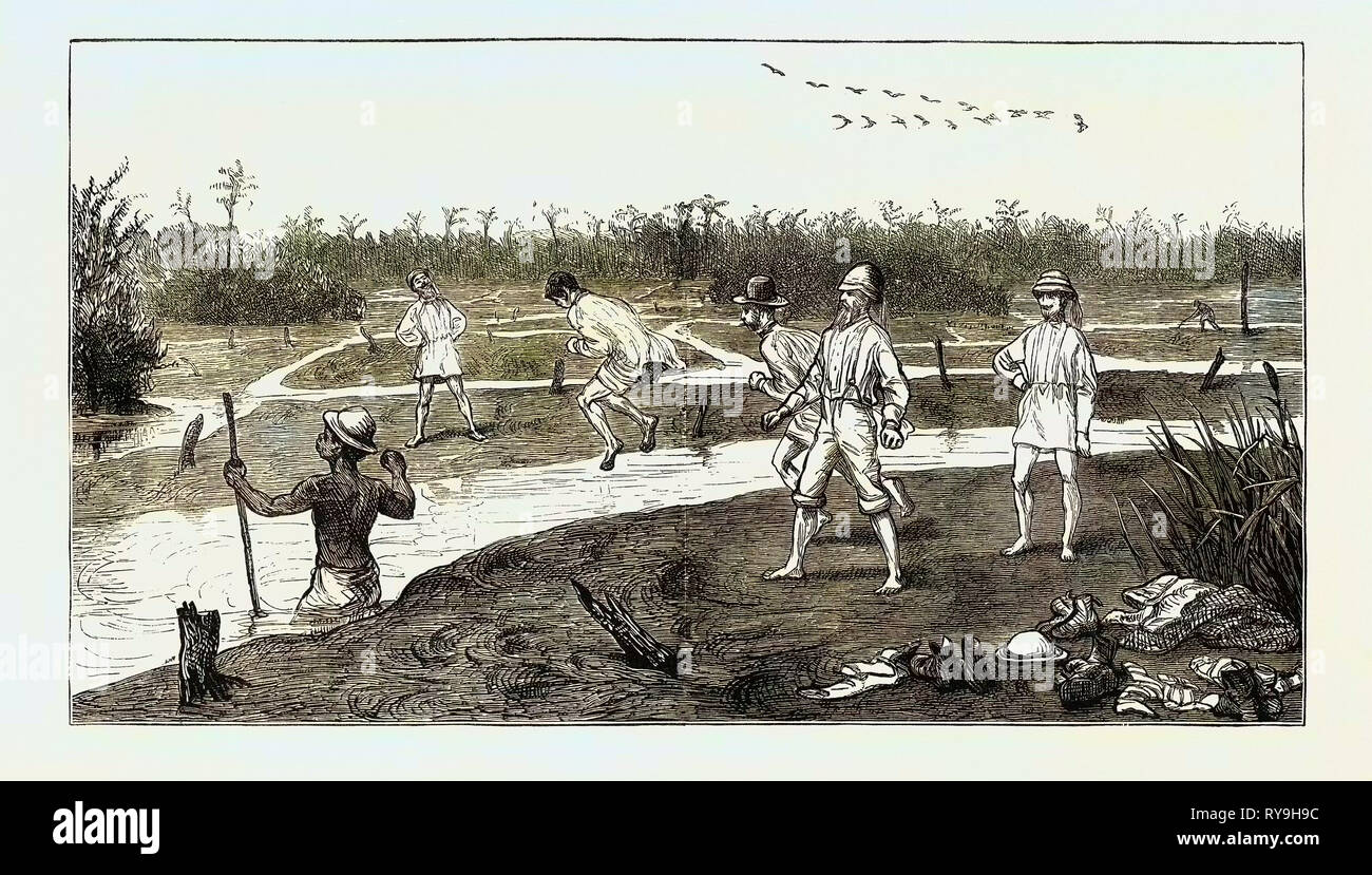 Crossing the Pitch Lake in the Island of Trinidad, West Indies Stock ...