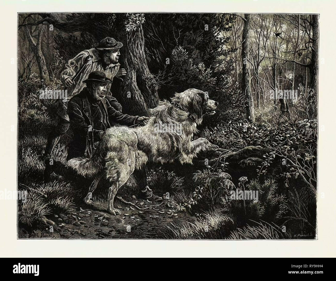 Poacher hi-res stock photography and images - Alamy