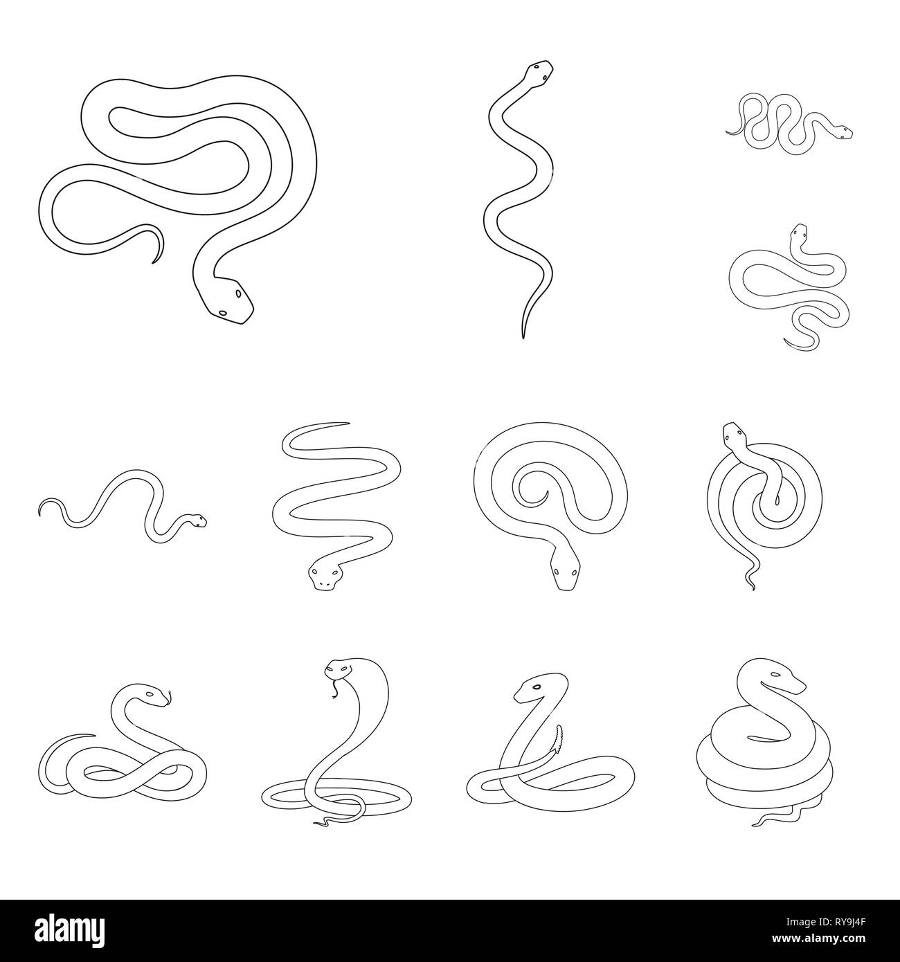 Coral snake tongue Stock Vector Images - Alamy