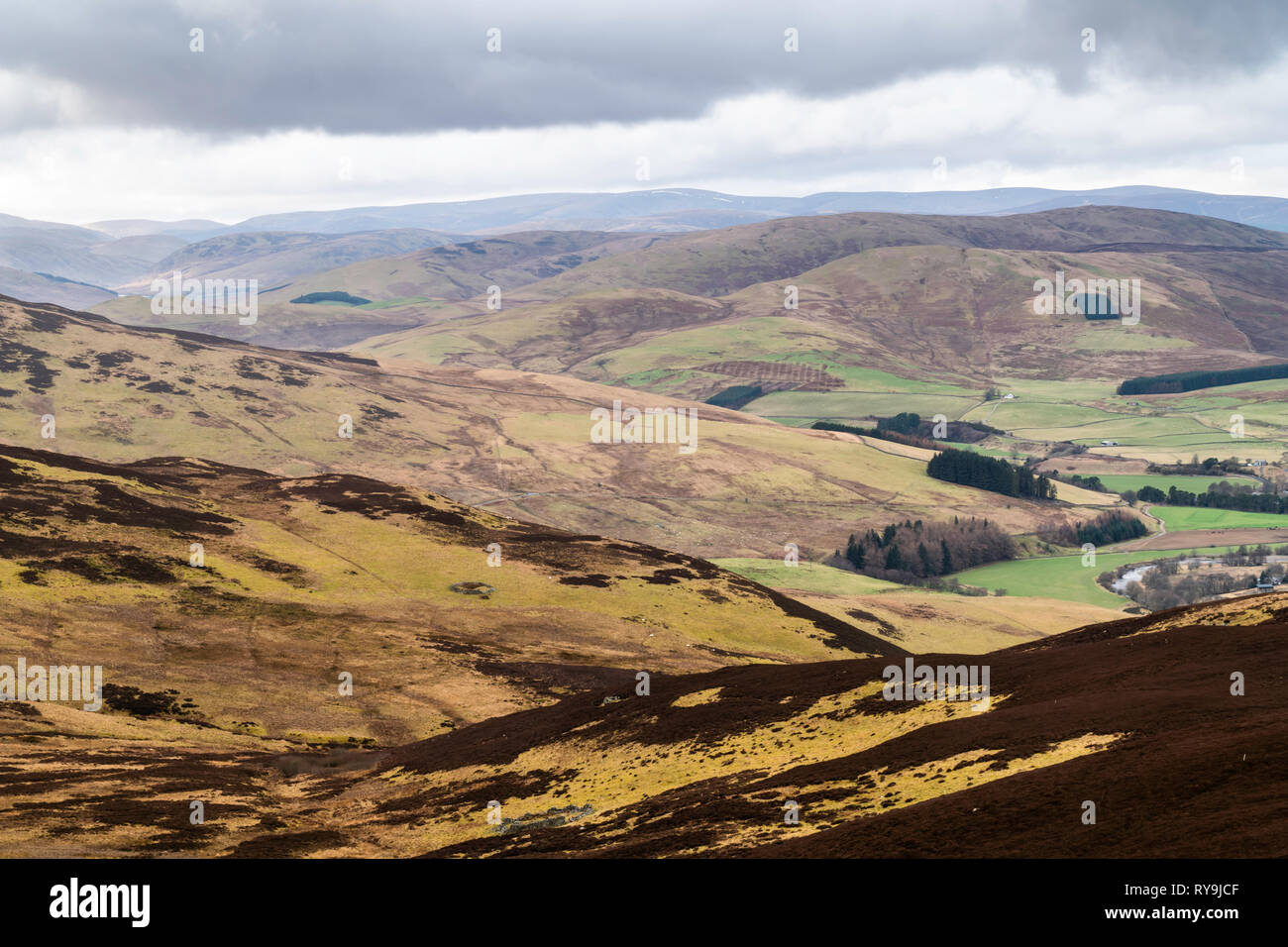 Yarrow Valley Scotland Stock Photos & Yarrow Valley Scotland Stock ...