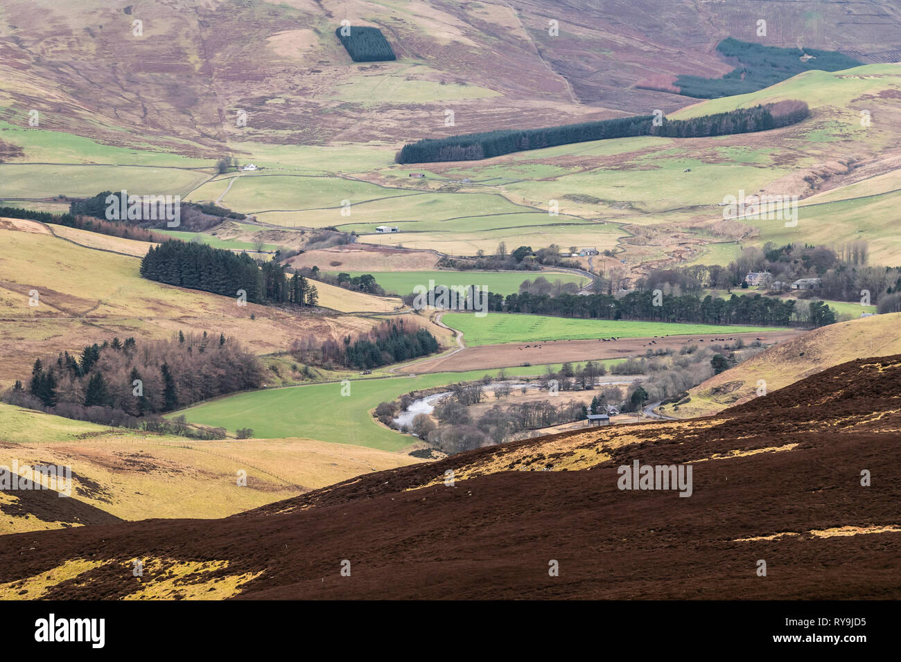 Yarrow Valley Scotland Stock Photos & Yarrow Valley Scotland Stock ...