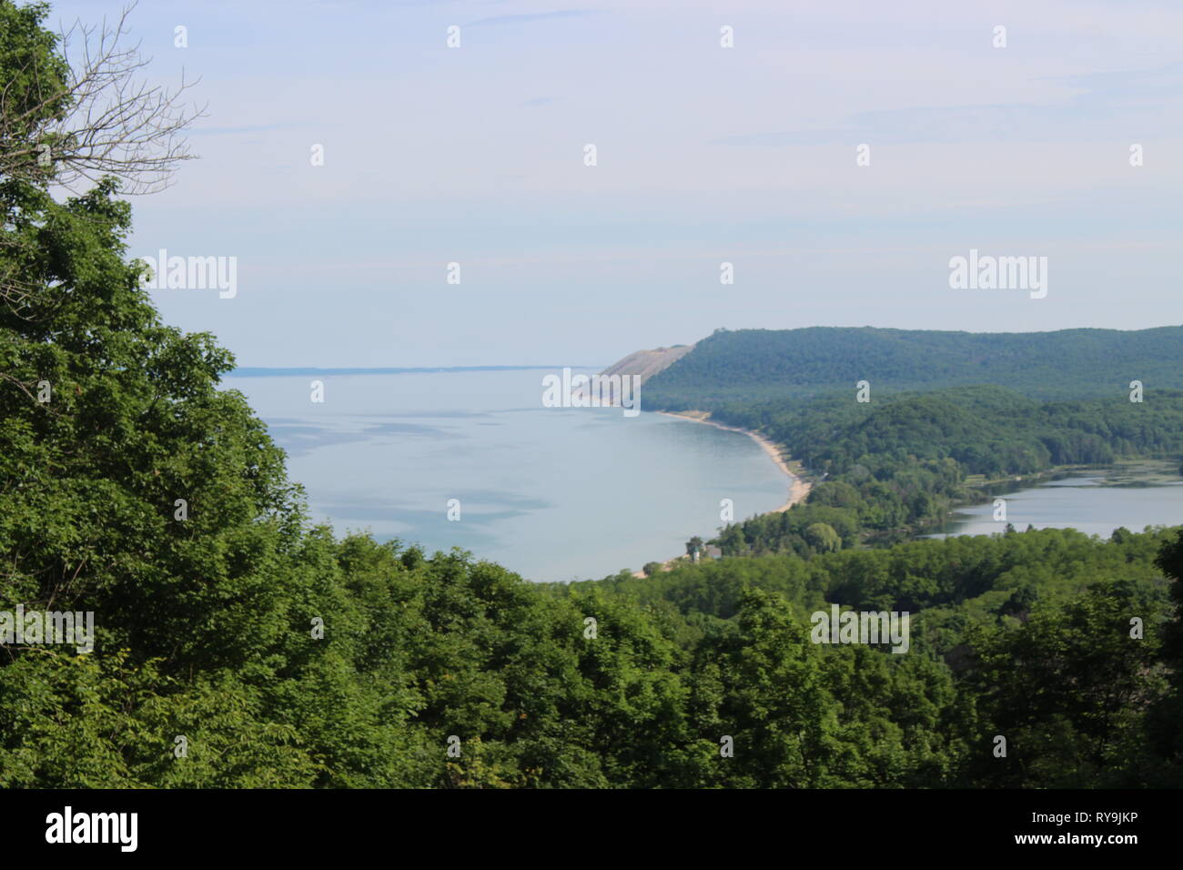 Murmuring trees hi-res stock photography and images - Alamy