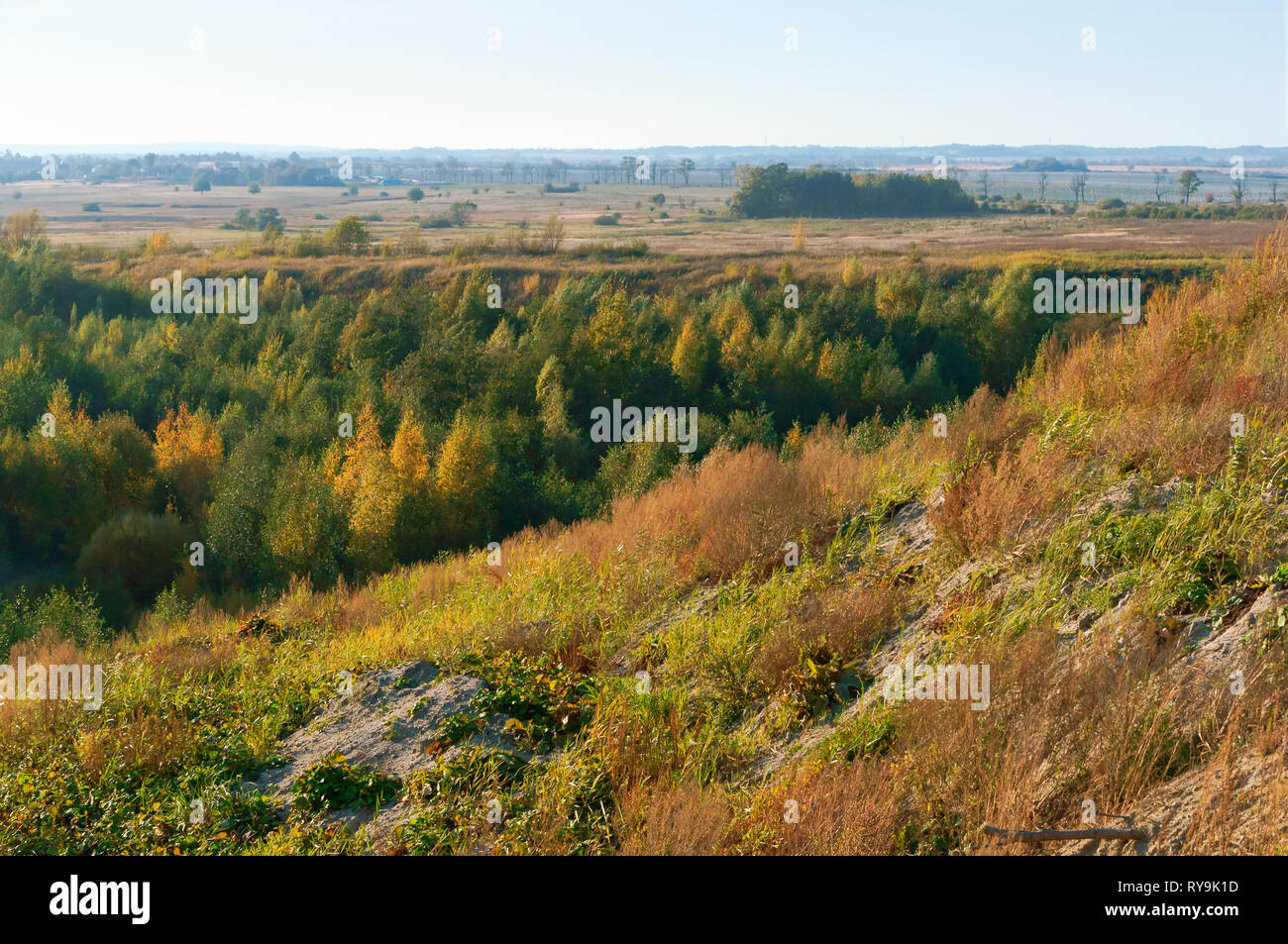Endless forests hi-res stock photography and images - Alamy
