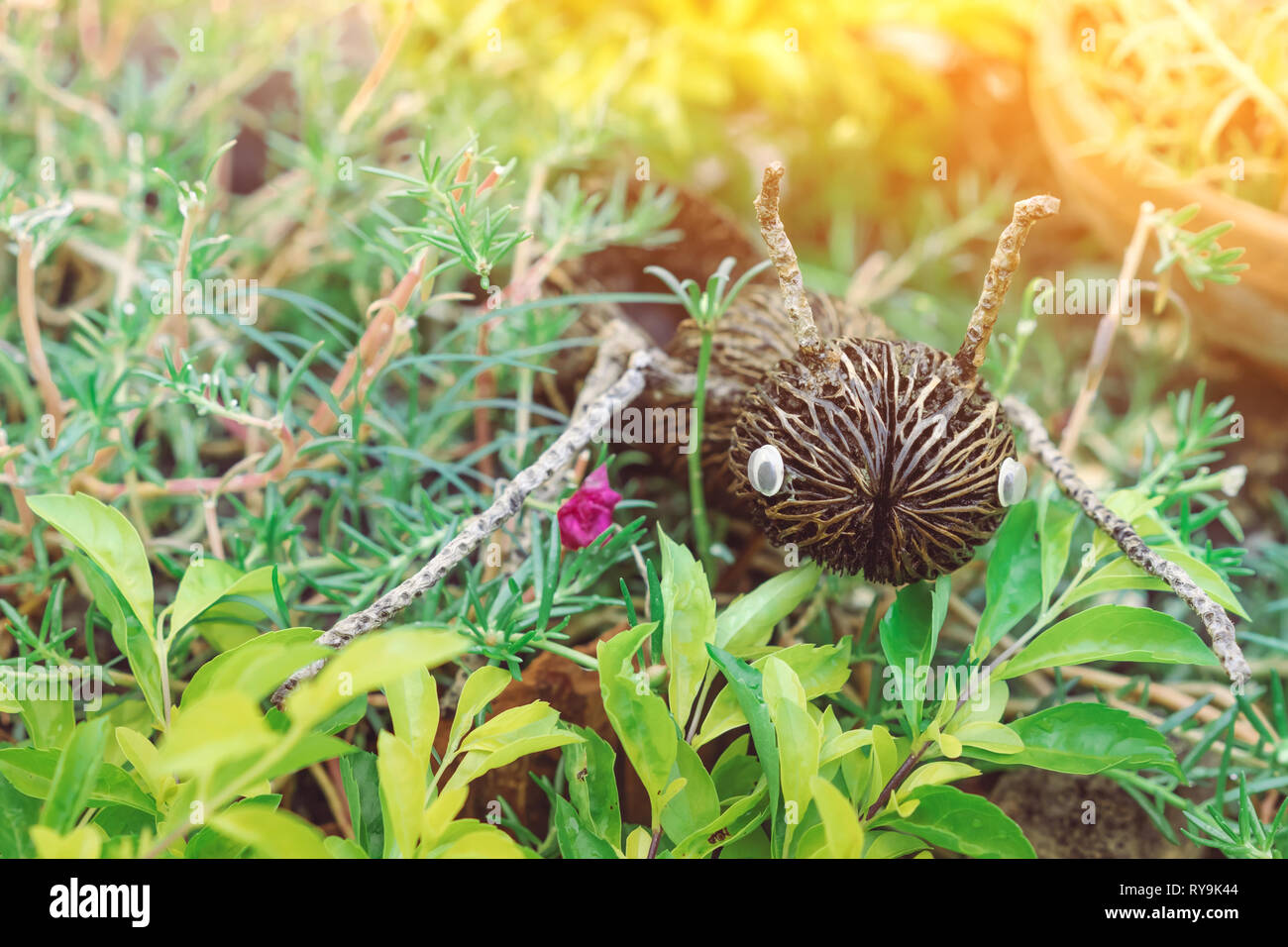 An artificial ant statue made from coconut, decorated on trees in the ...