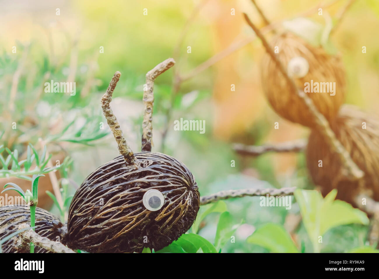 An artificial ant statue made from coconut, decorated on trees in the ...