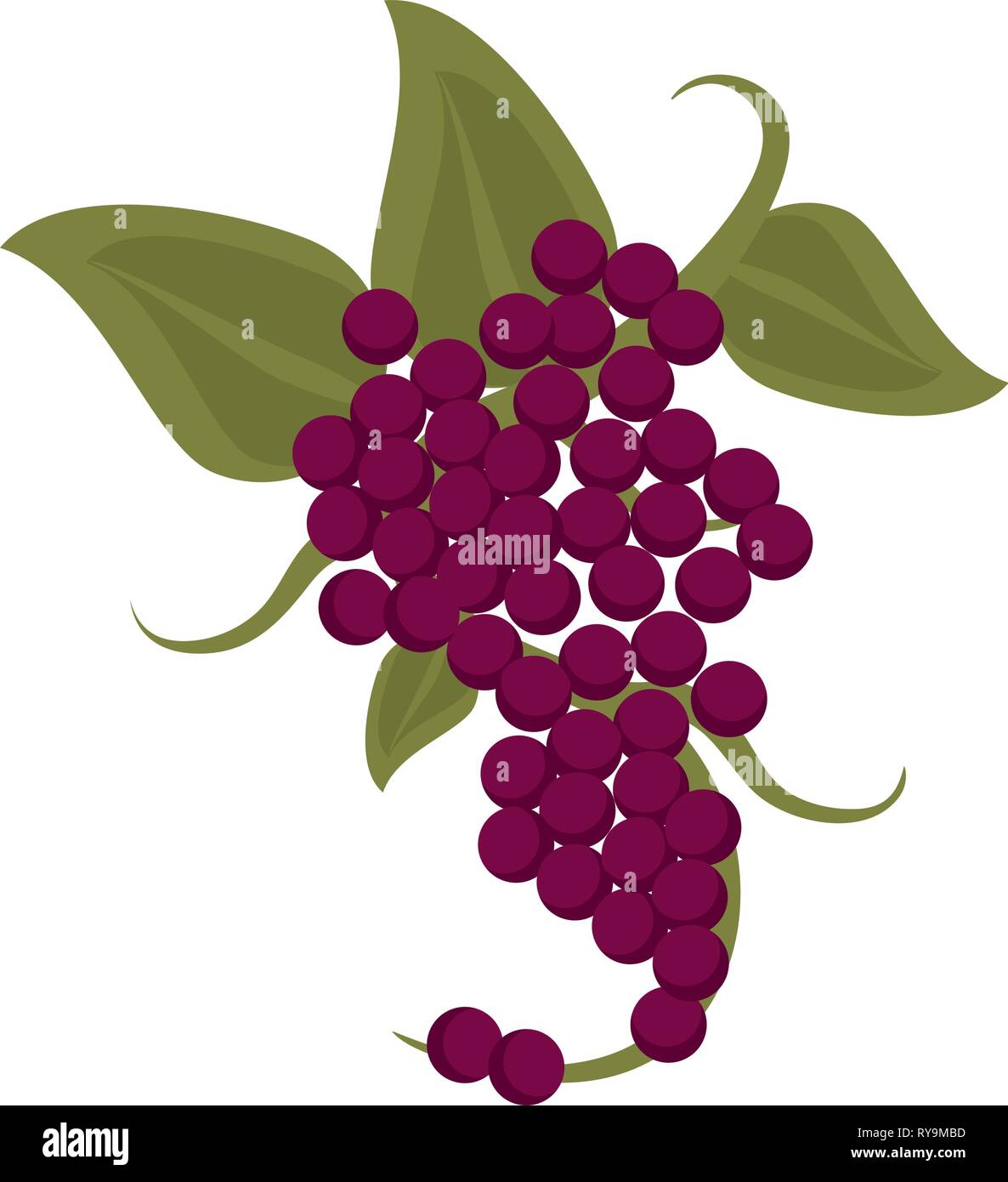 grapes fruit cartoon isolated Stock Vector Image & Art - Alamy