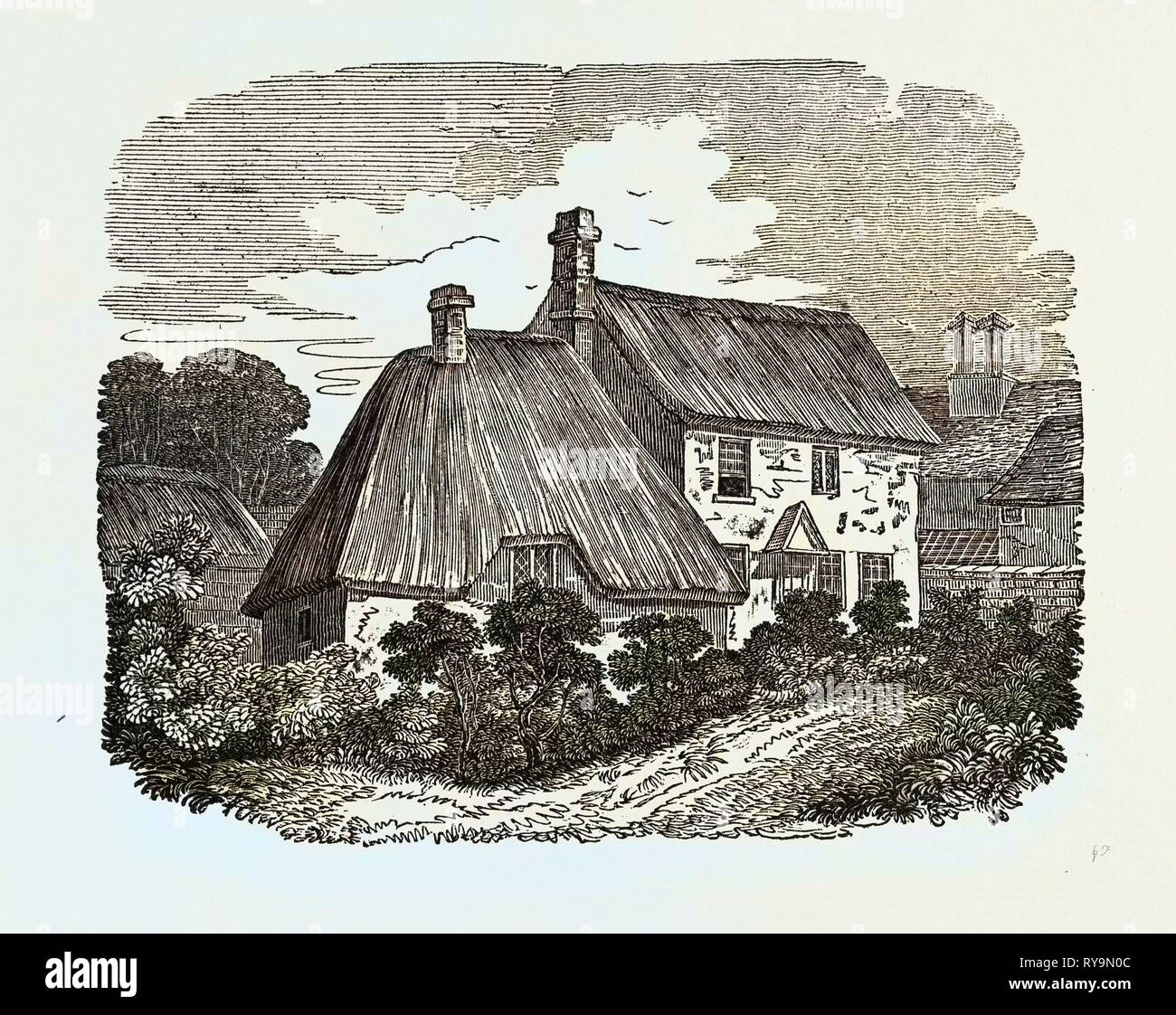 Addison hi-res stock photography and images - Alamy