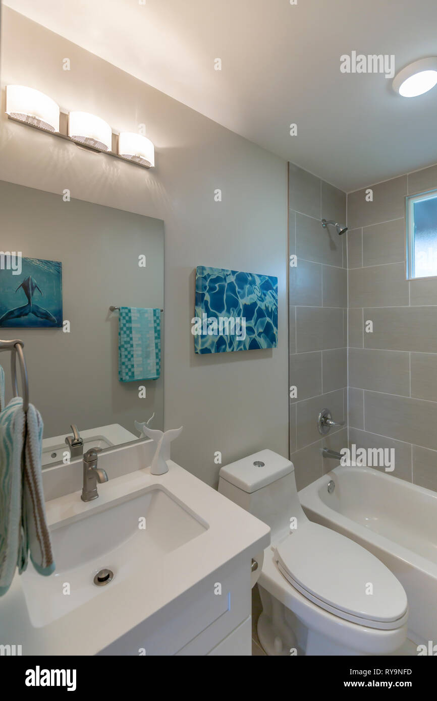Updated Bathroom interior Stock Photo - Alamy
