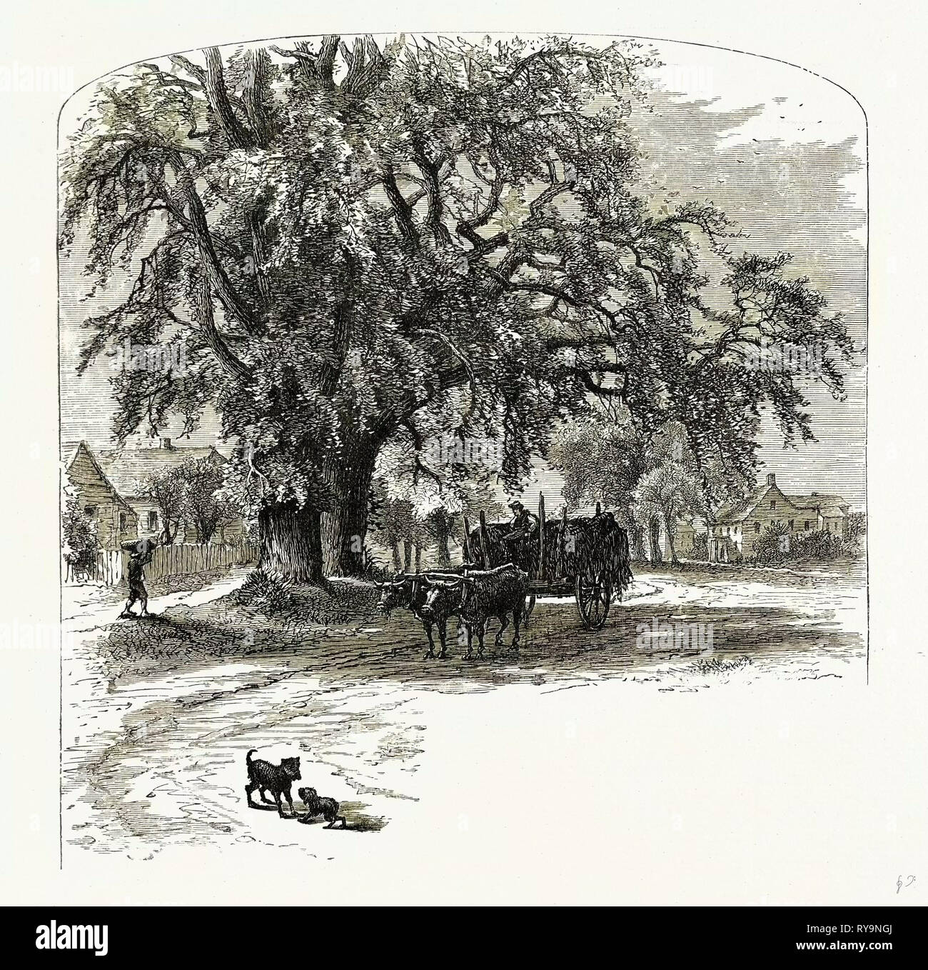 Old saybrook hi-res stock photography and images - Alamy