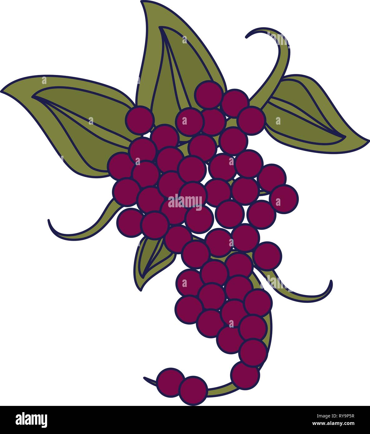 grapes fruit cartoon isolated Stock Vector Image & Art - Alamy