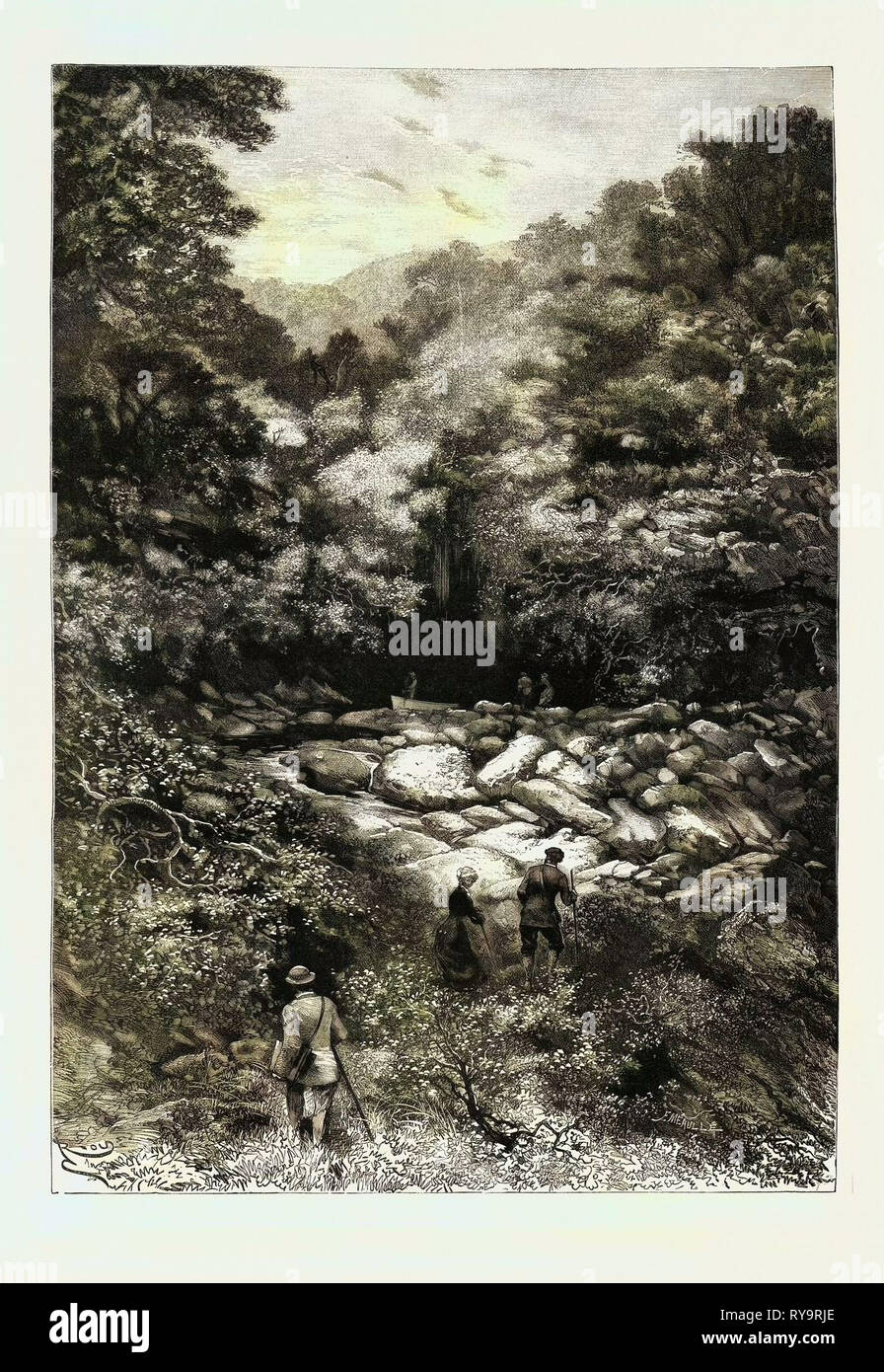 Victorian grotto hi-res stock photography and images - Alamy