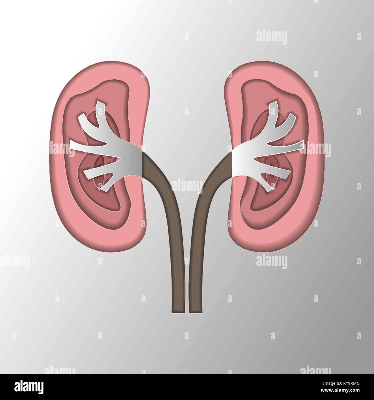 Kidney disease illustration hi-res stock photography and images - Alamy