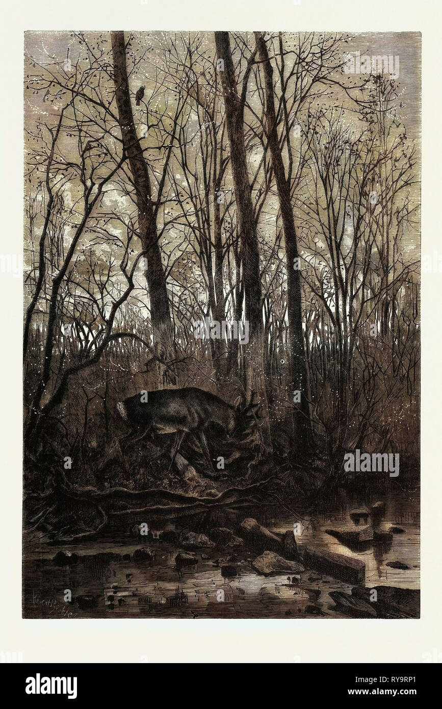 19th century victorian engraving scene hi-res stock photography and ...