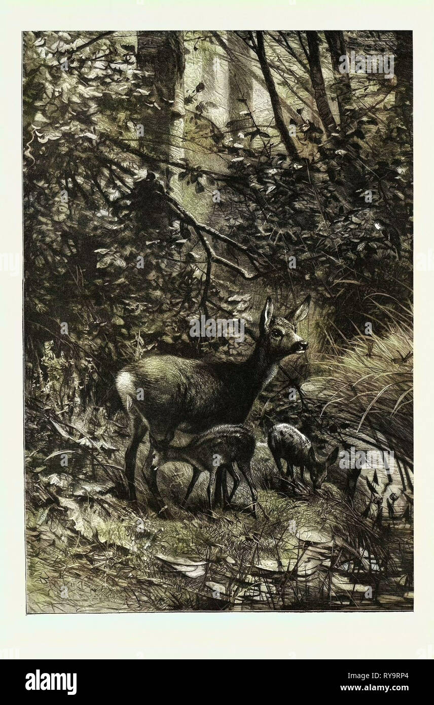 19th century victorian engraving scene hi-res stock photography and ...