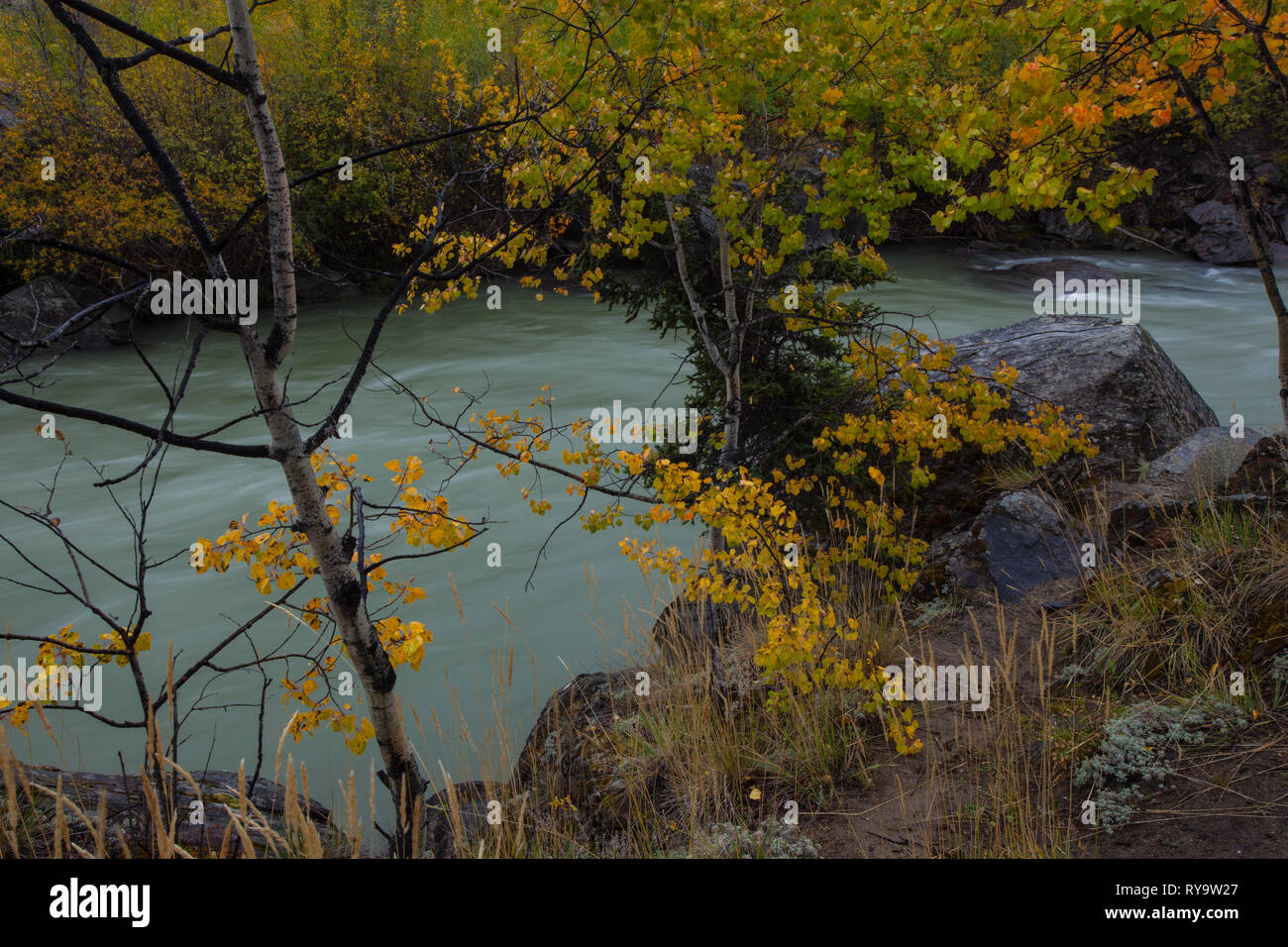 Takhini River, Kluane Region, Yukon Territory, Canada Stock Photo - Alamy