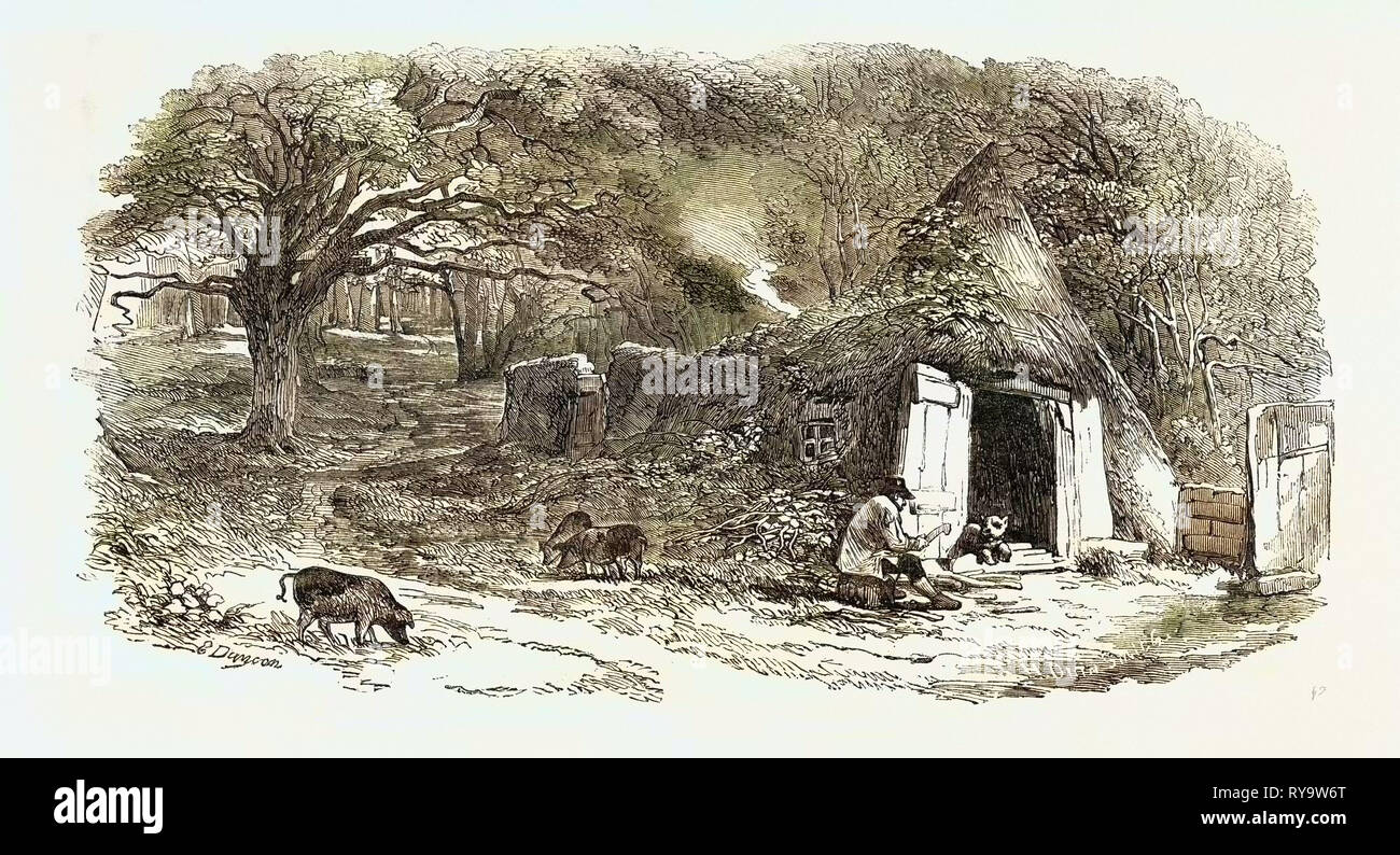 Victorian forest illustration hi-res stock photography and images - Alamy