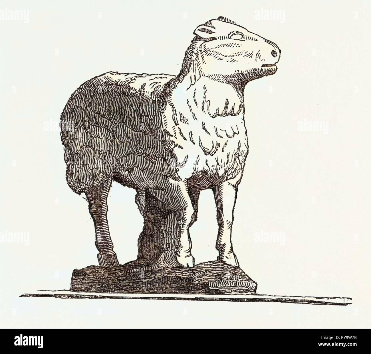 Victorian lamb hi-res stock photography and images - Alamy