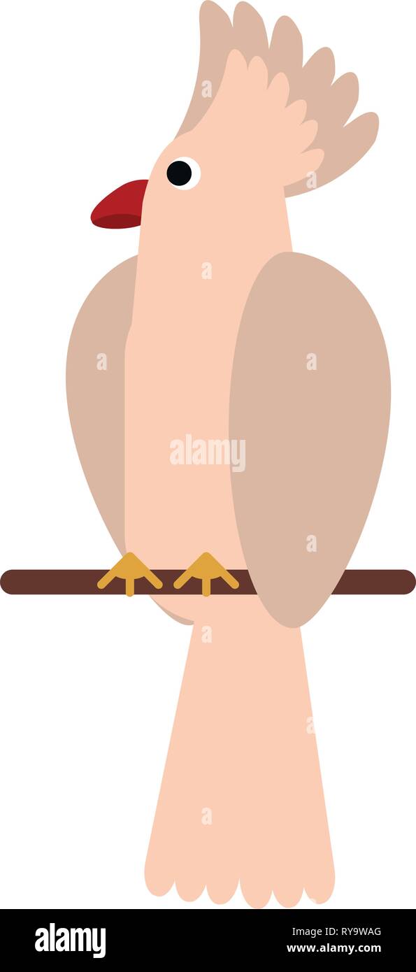 Exotic bird cartoon Stock Vector Image & Art - Alamy