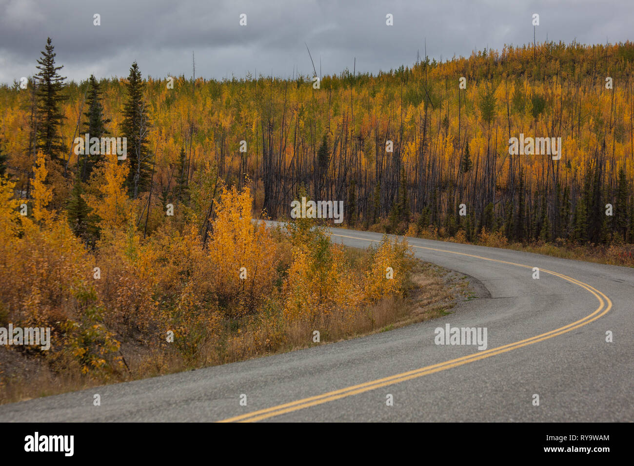 Klondike Highway, Klondike Region, Yukon Territory, Canada Stock Photo ...