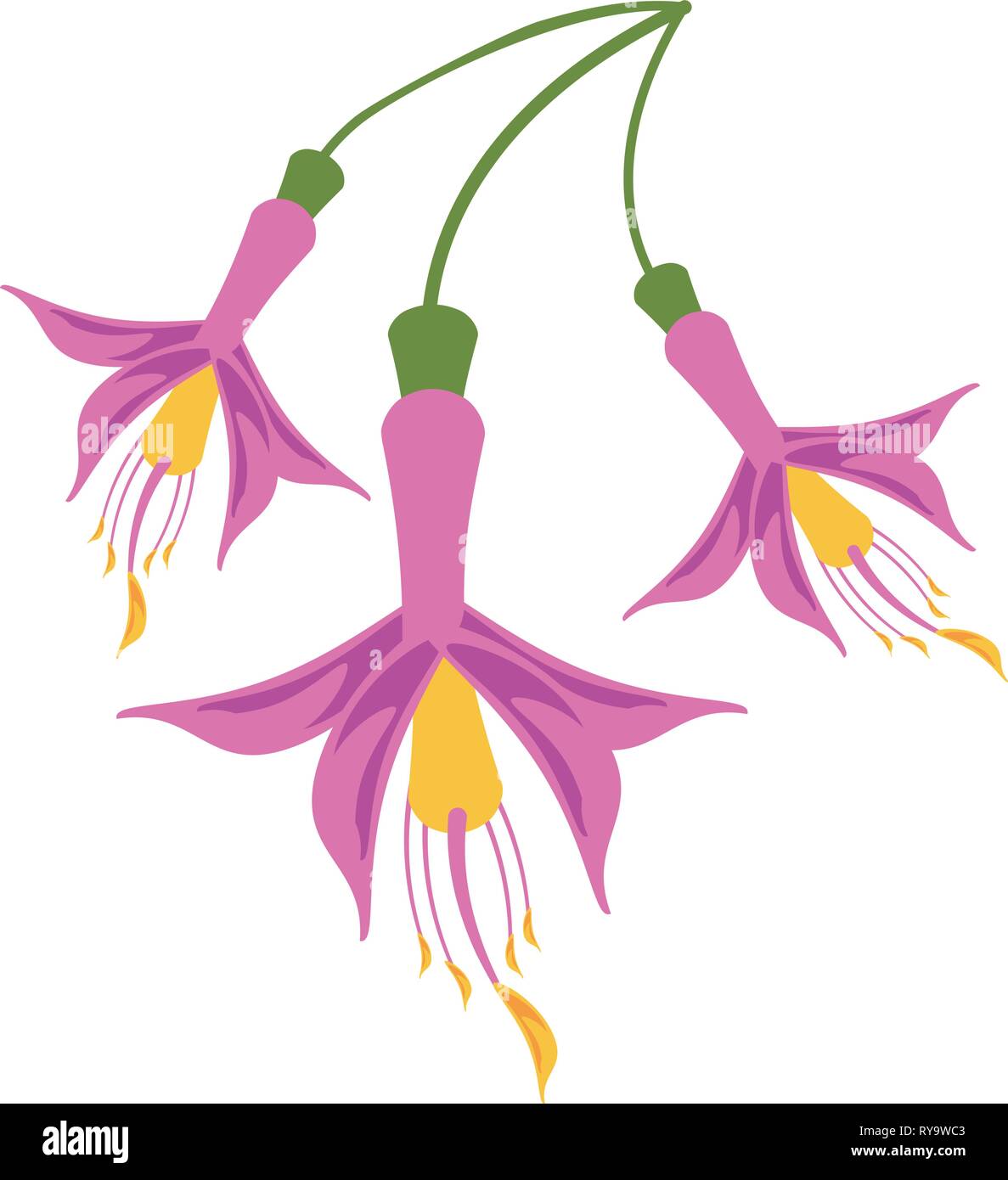 Beautiful flowers cartoon Stock Vector Image & Art - Alamy