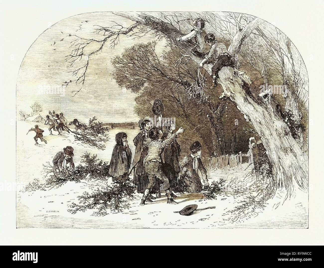 Old picture of mistletoe hi-res stock photography and images - Alamy