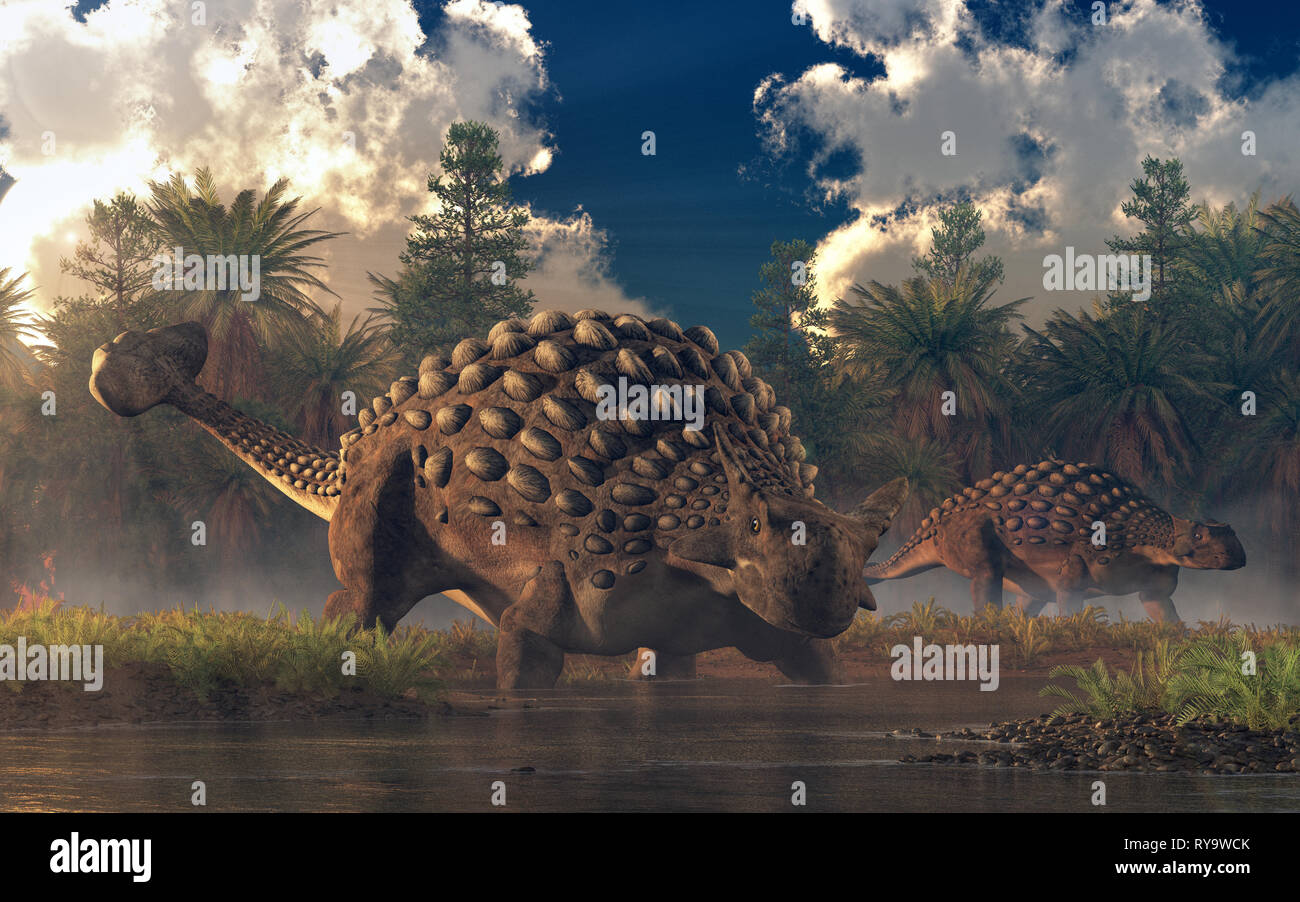 A pair of ankylosaurs graze in a watery lowland. These cretaceous era ...