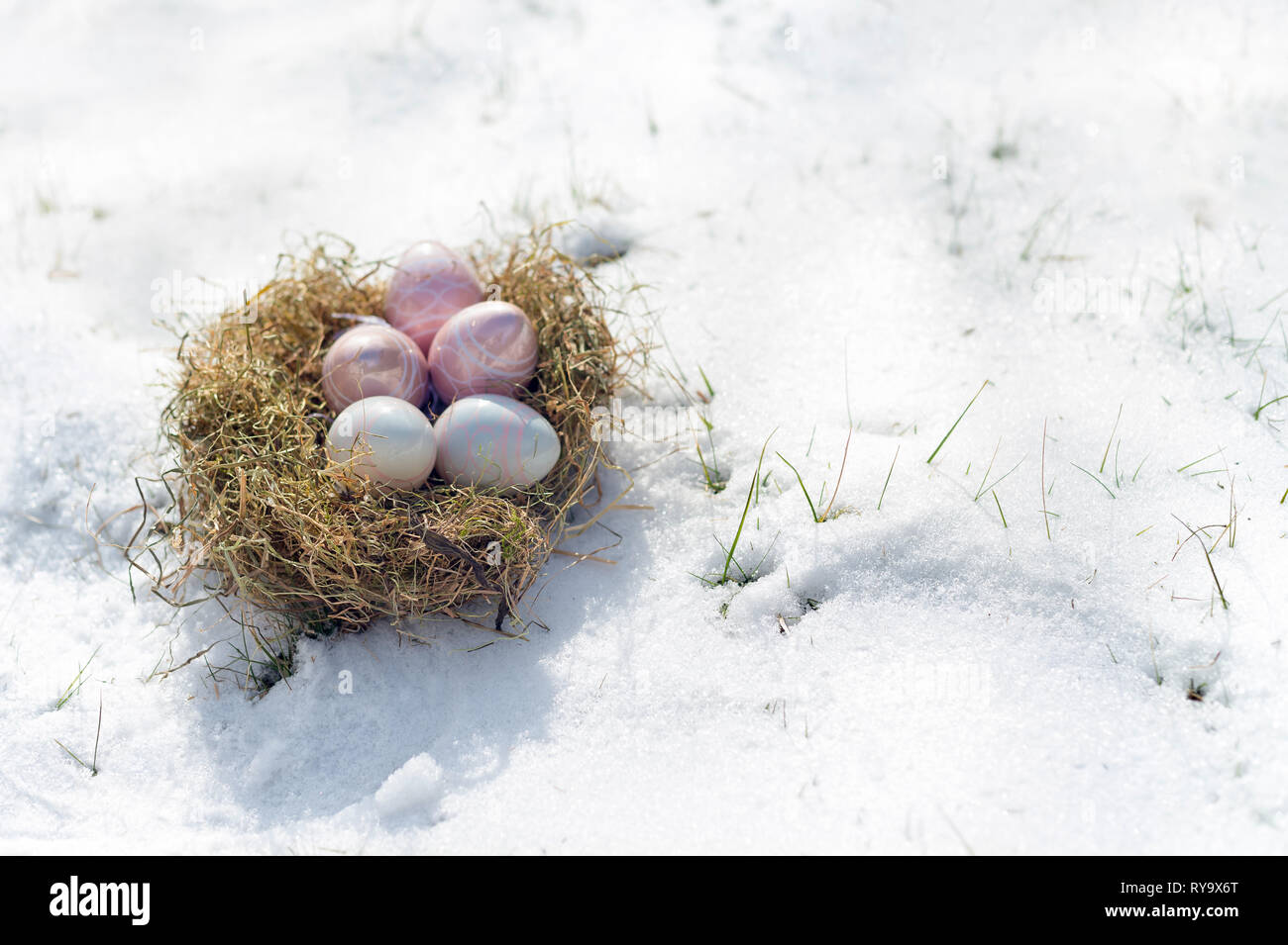 A meadow is covered with snow. A natural nest of hay contains white and ...