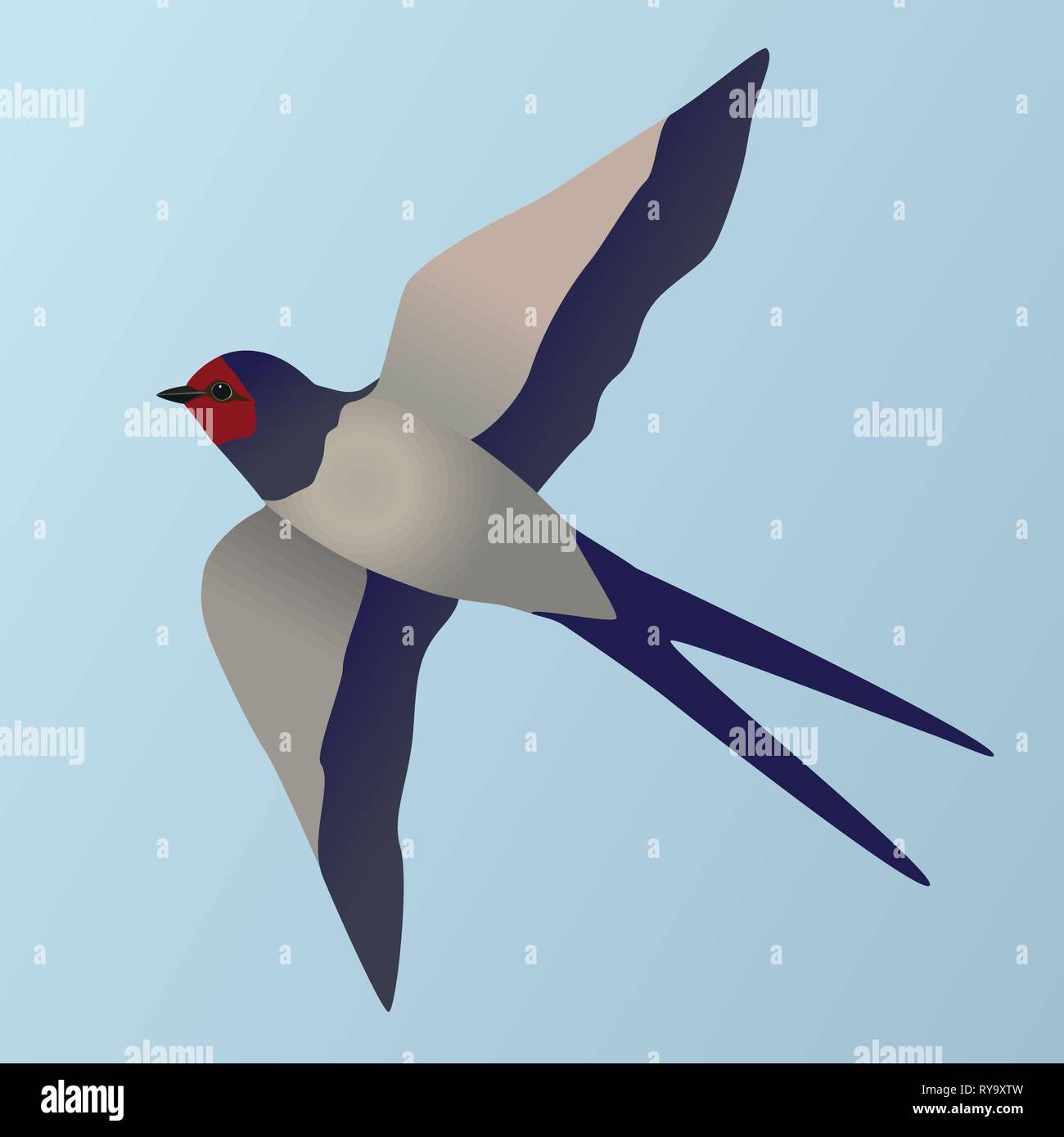 An illustration of a flying farmers swallow Stock Vector Image & Art ...