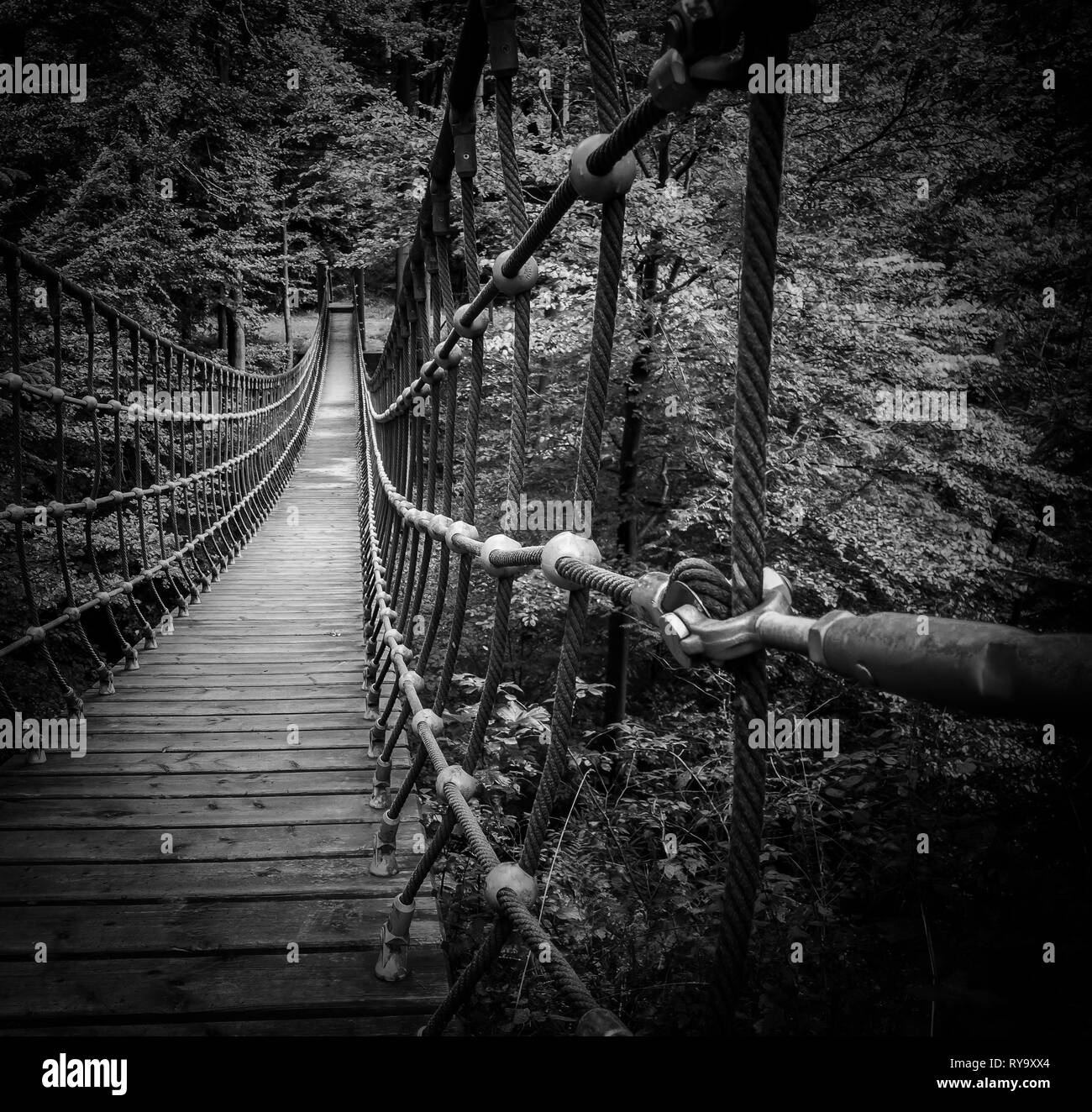 Forest rope bridge hike hi-res stock photography and images - Alamy