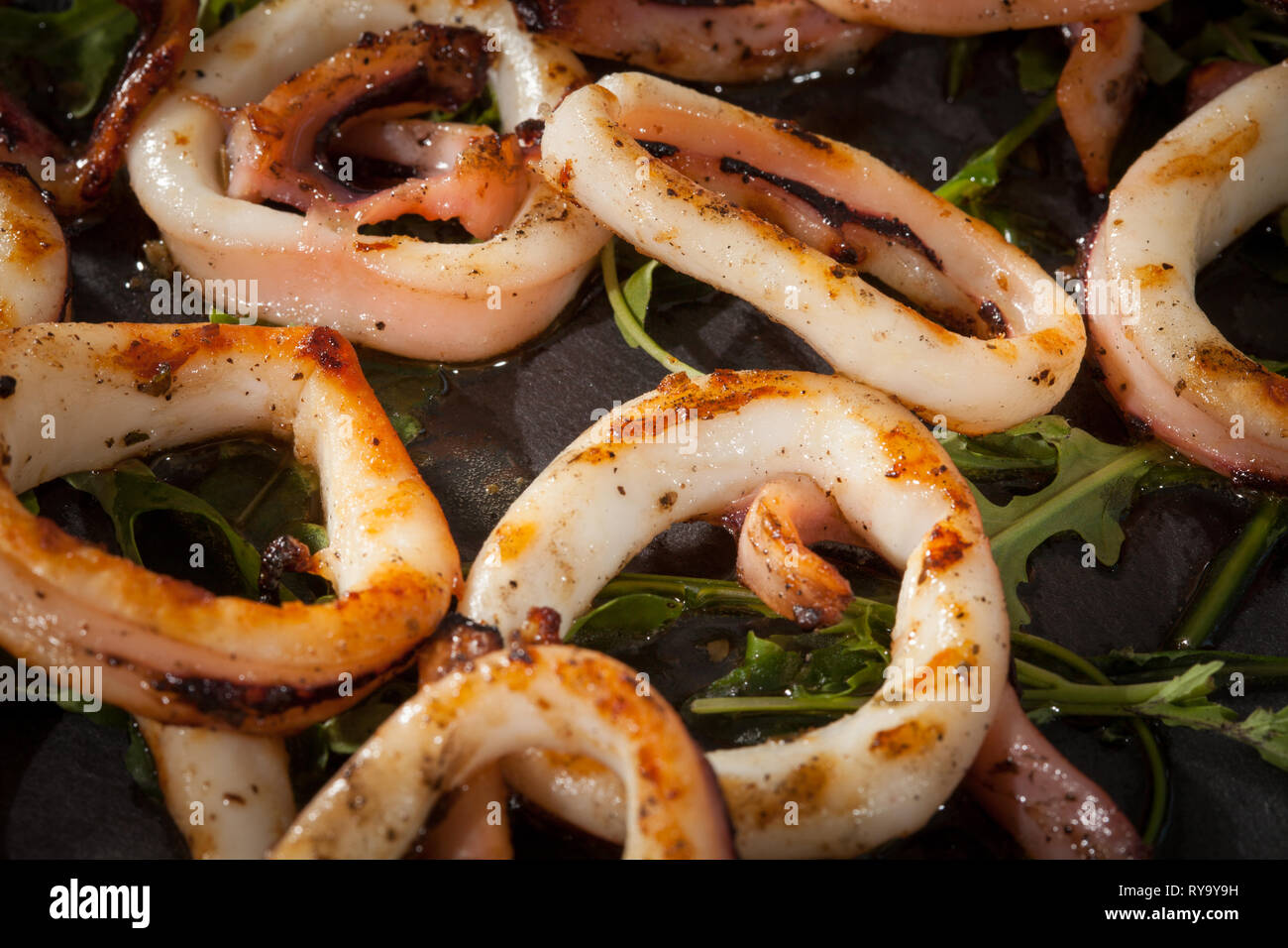 Kalamari hi-res stock photography and images - Alamy