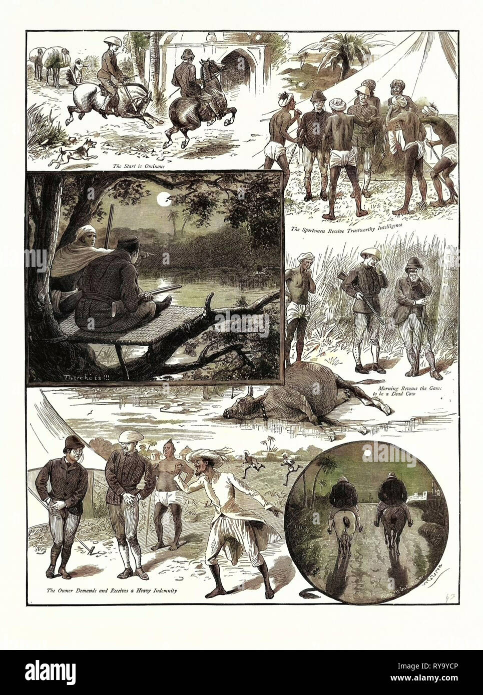 Man eating tiger hi-res stock photography and images - Alamy