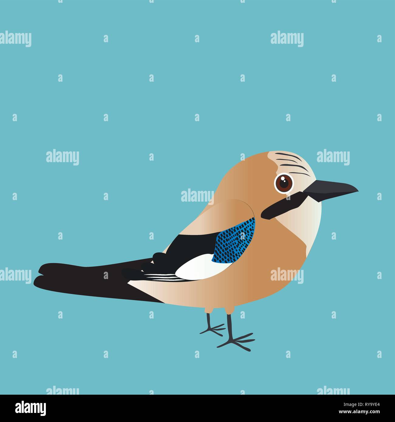 A vector illustration of a cute Eurasian jay Stock Vector Image & Art ...