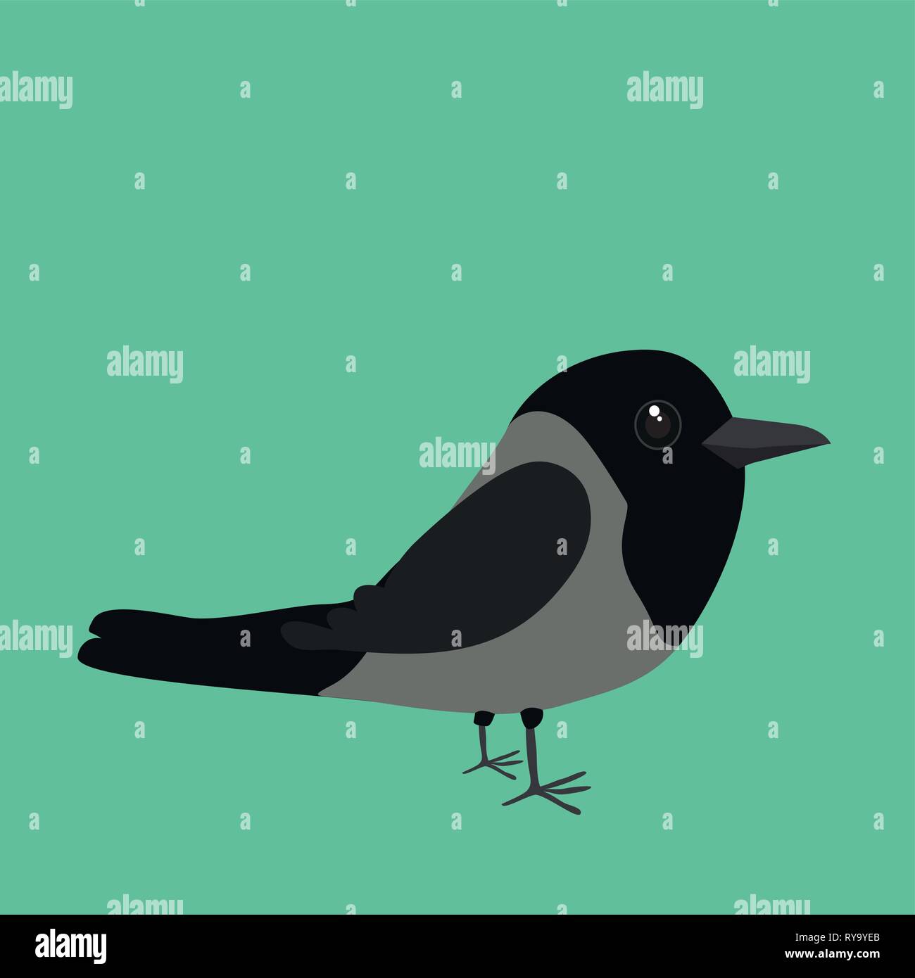 A vector illustration of a cute western jackdaw Stock Vector Image ...