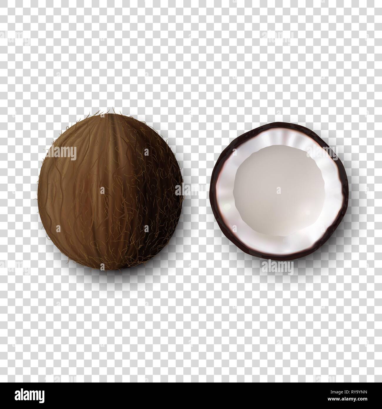 Vector 3d Realistic Whole and Halves Coconut Icon Set Closeup Isolated ...