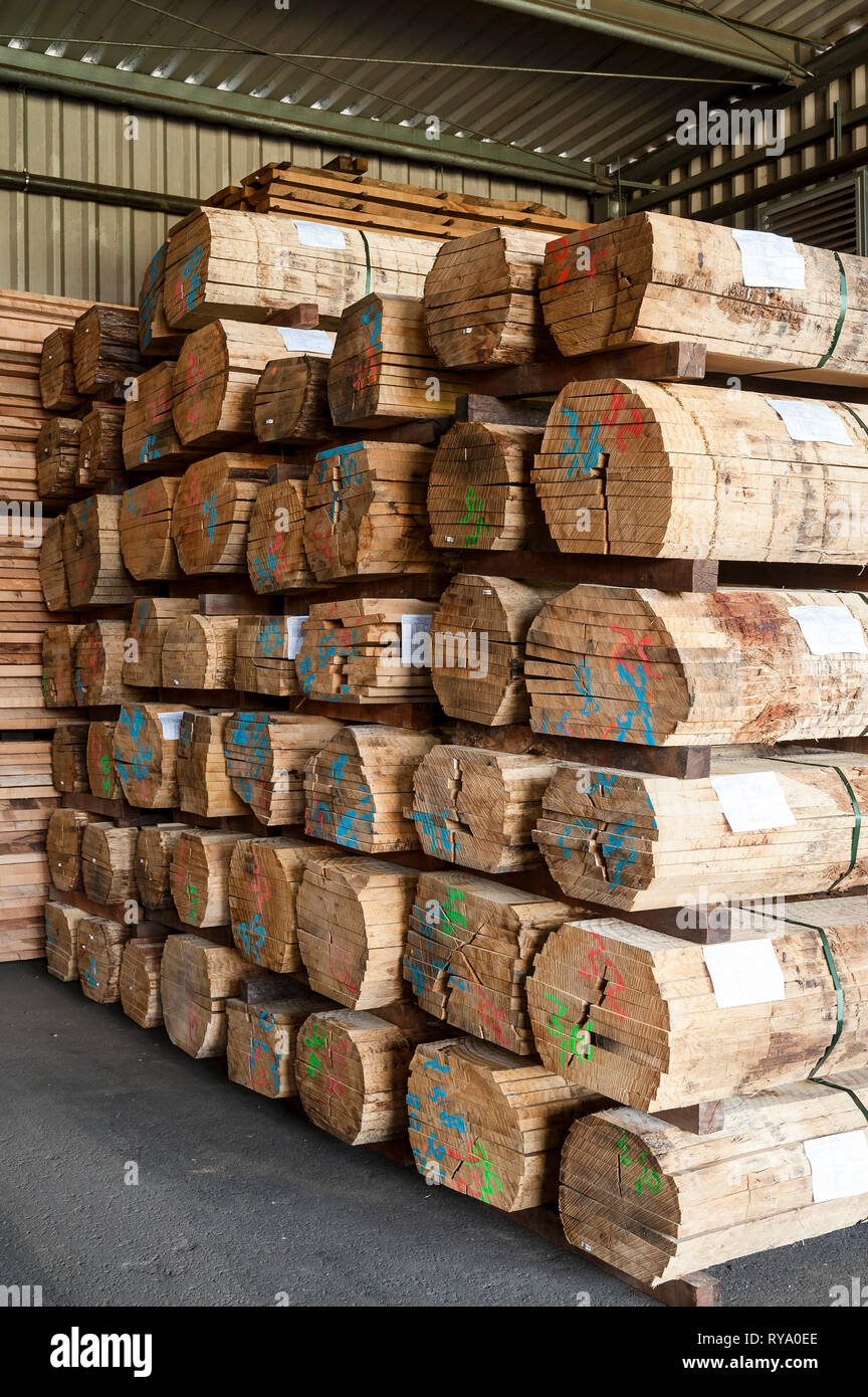 Piles of sawn logs hi-res stock photography and images - Alamy