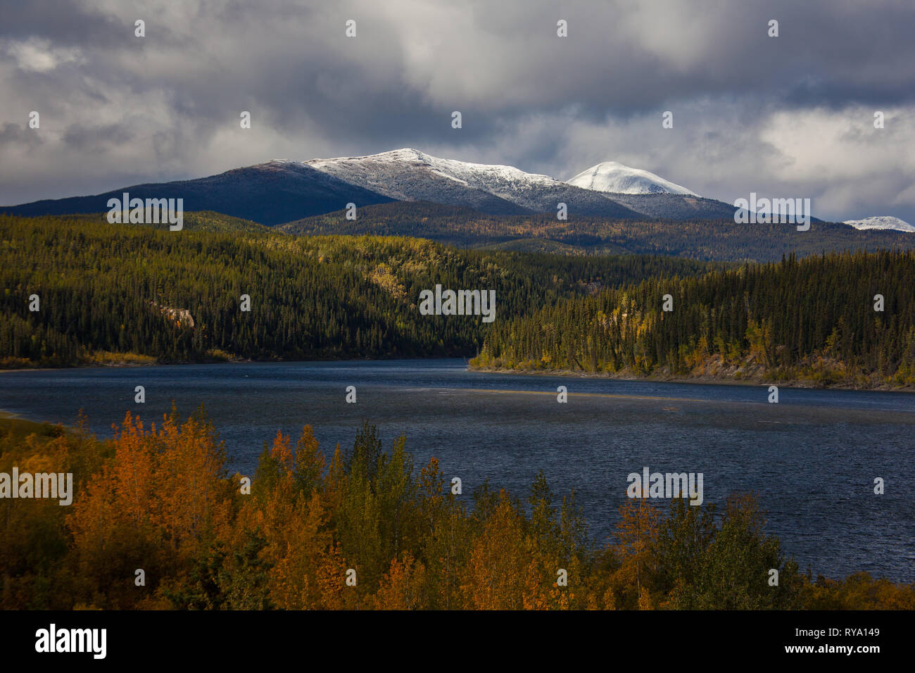 Johnson's Crossing, Southern Lakes Region, Yukon Territory, Canada ...