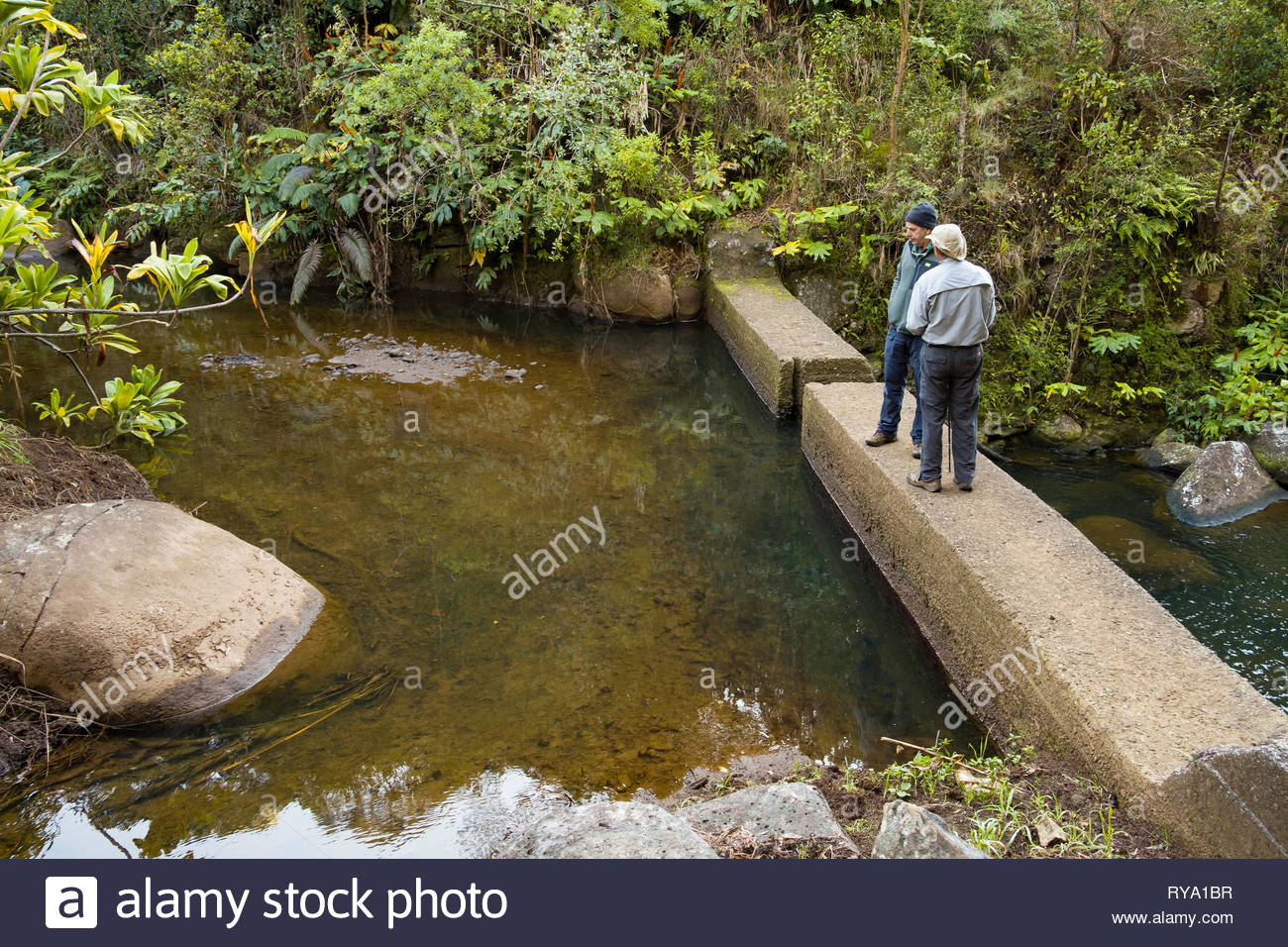 Concrete Dam High Resolution Stock Photography and Images - Alamy