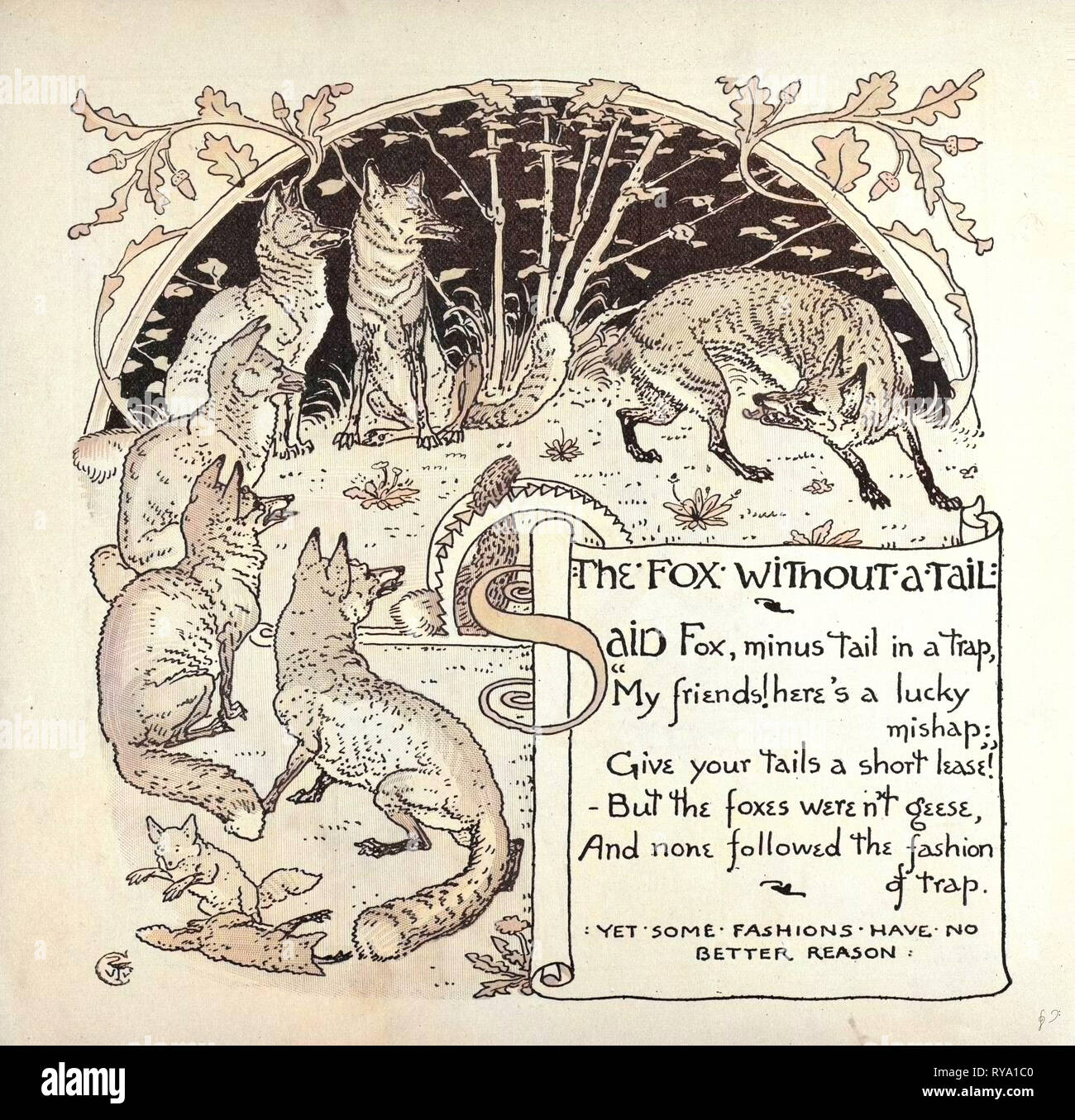 Fox without tail hi-res stock photography and images - Alamy