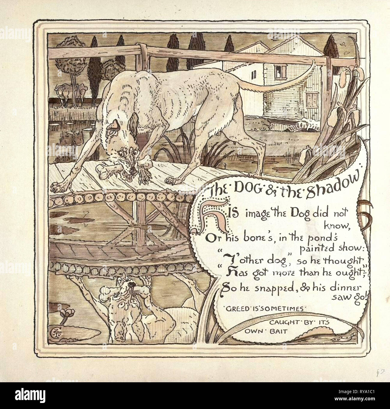 Shadow and bone book hi-res stock photography and images - Alamy